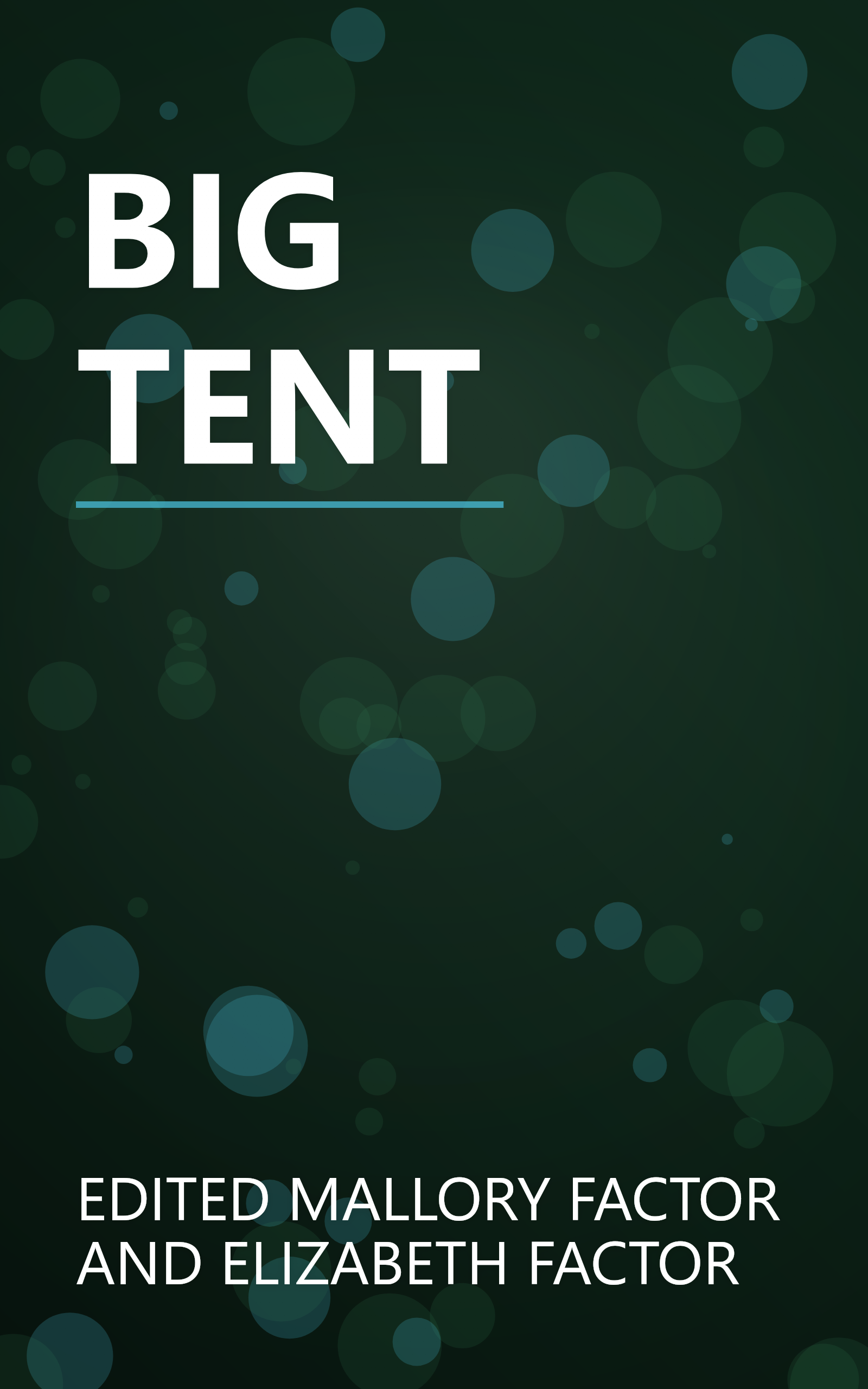 BIG TENT book cover