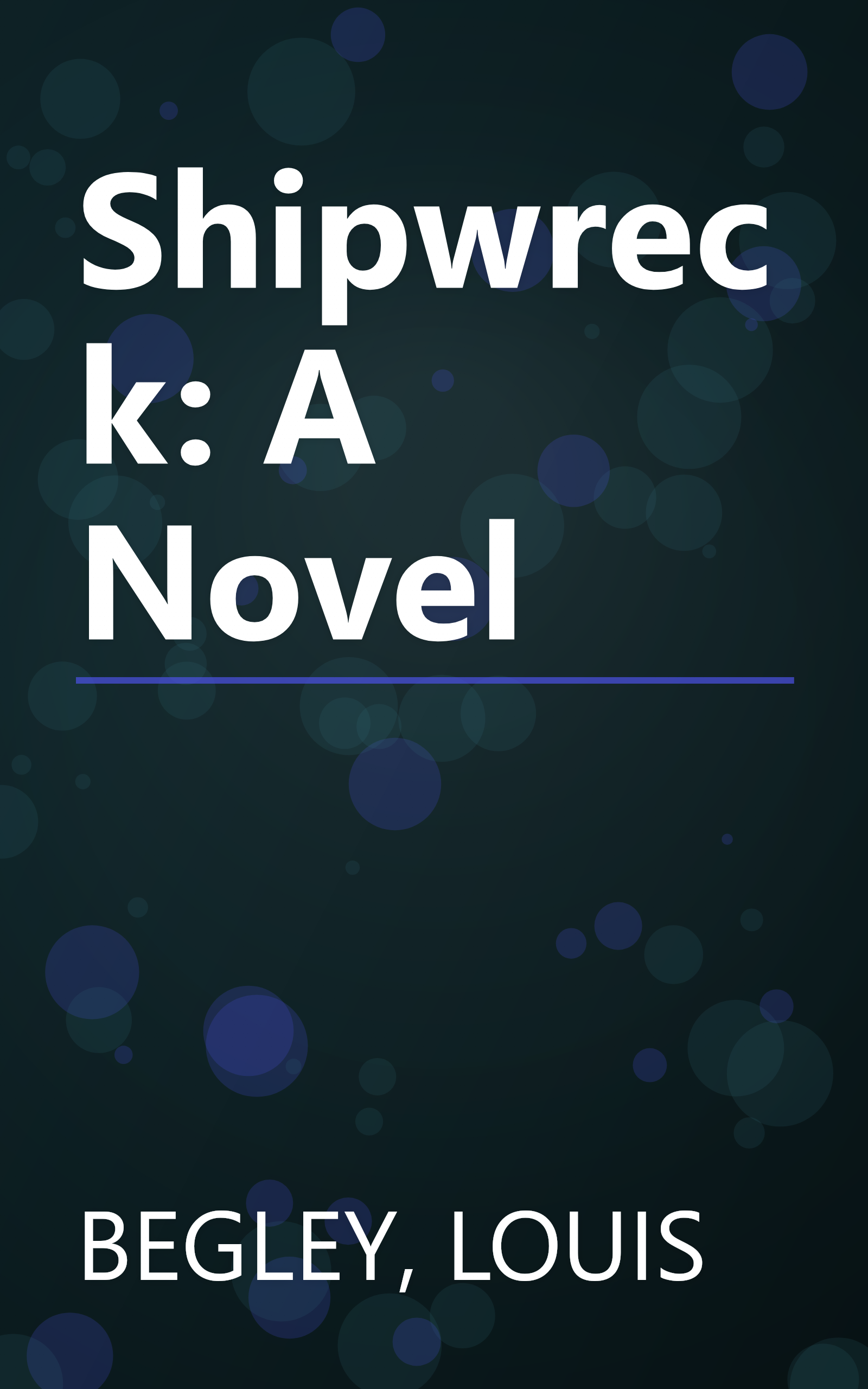 Shipwreck: A Novel book cover
