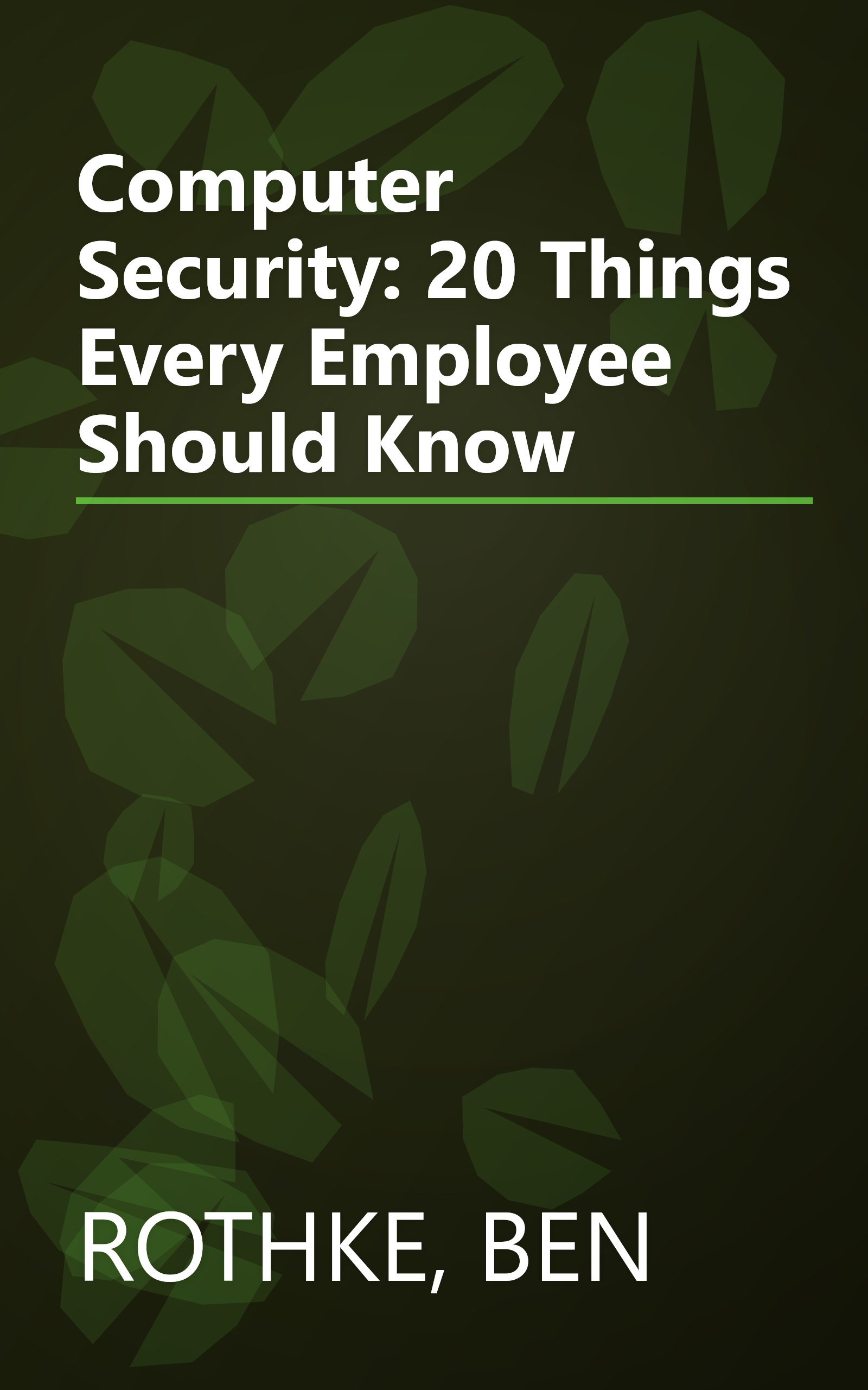 Computer Security: 20 Things Every Employee Should Know book cover