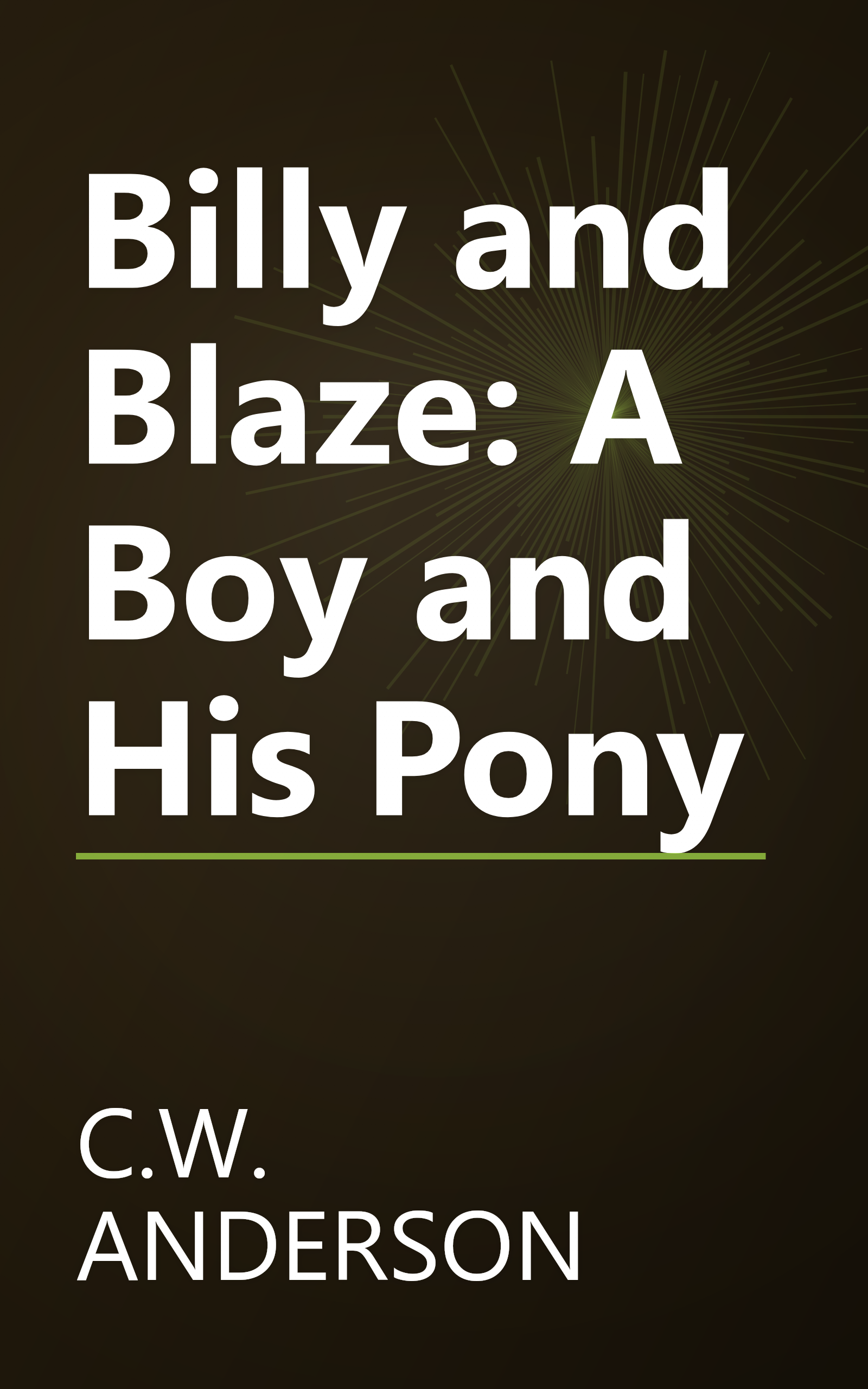 Billy and Blaze: A Boy and His Pony book cover