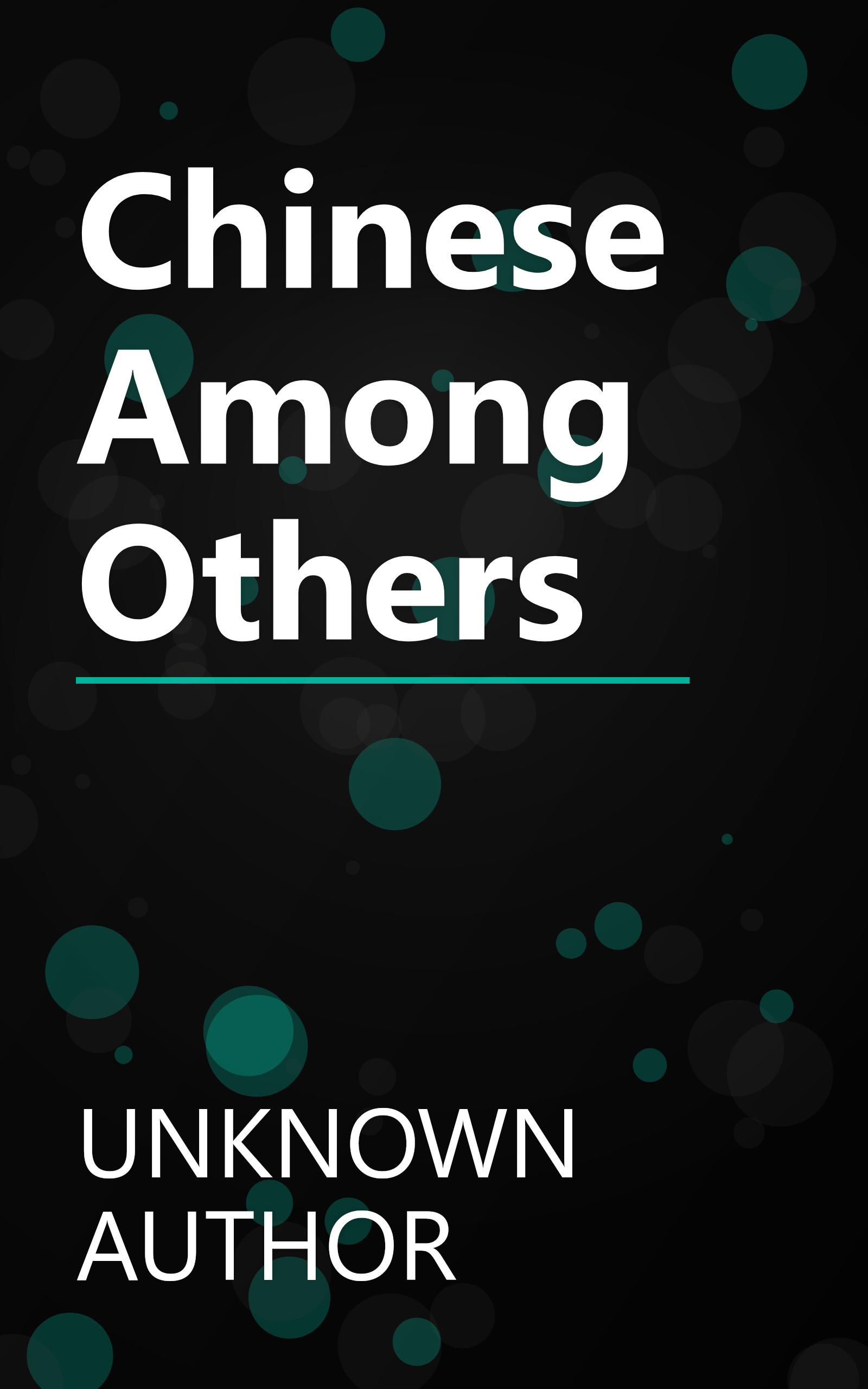 Chinese Among Others book cover