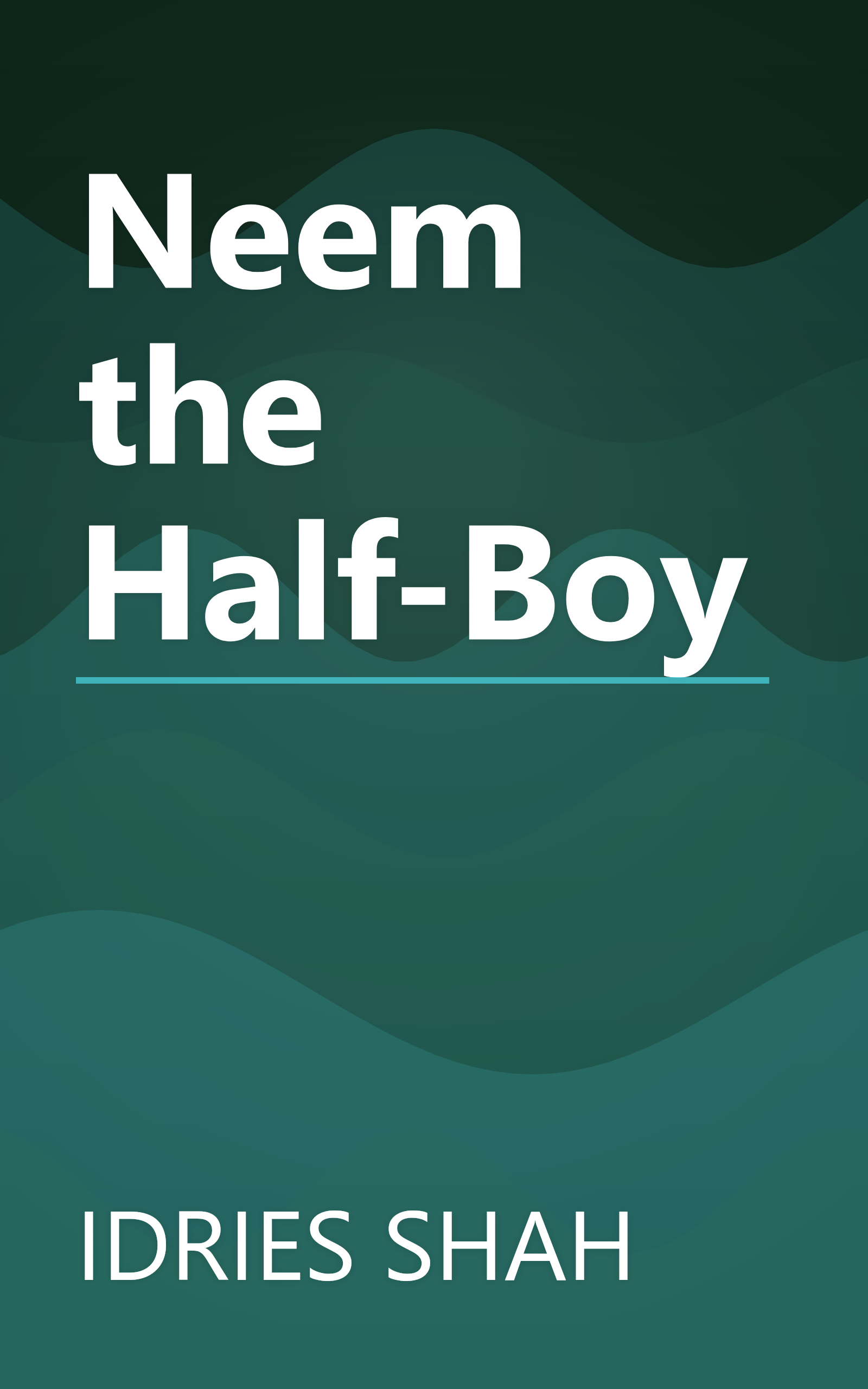 Neem the Half-Boy book cover
