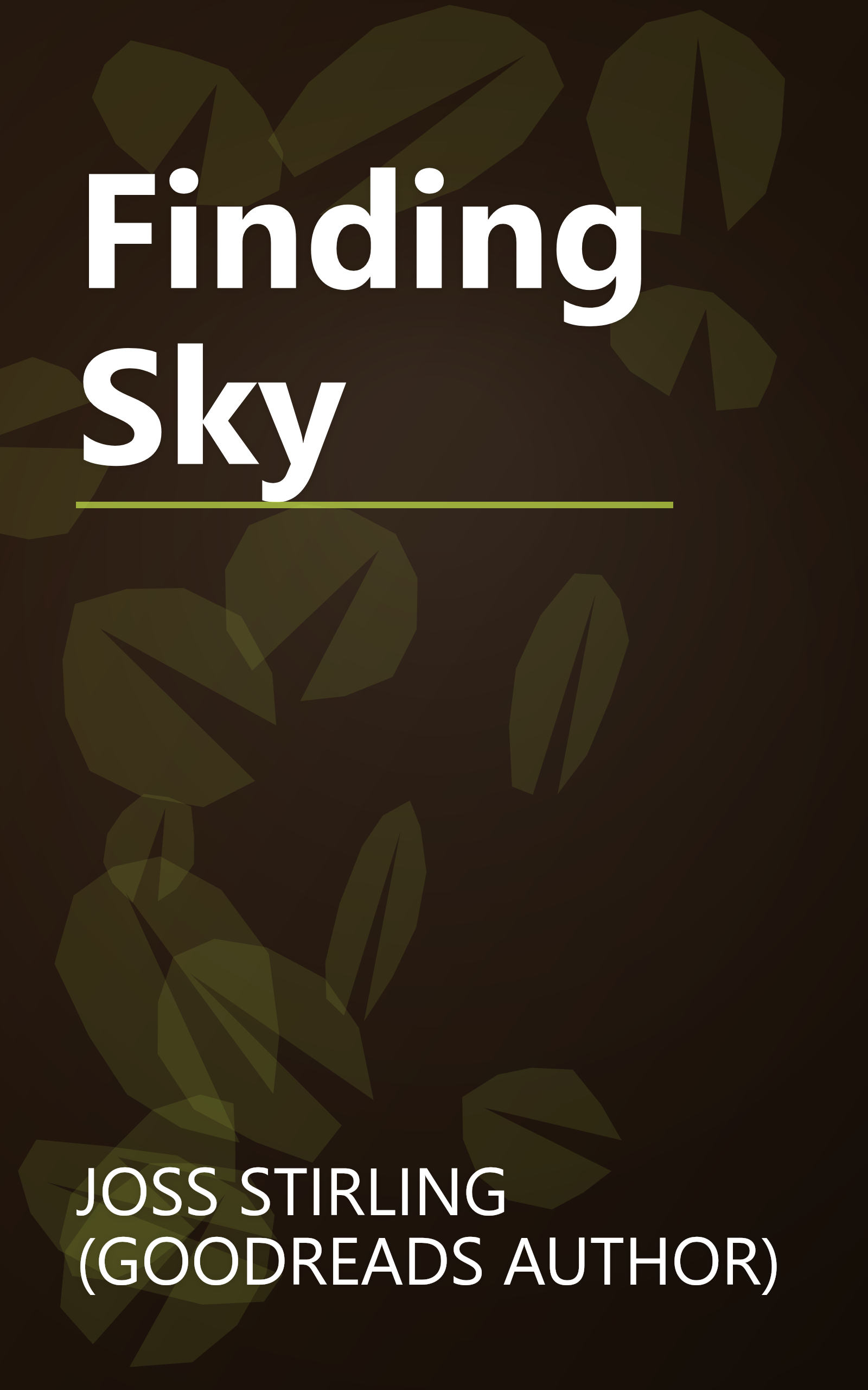 Finding Sky book cover