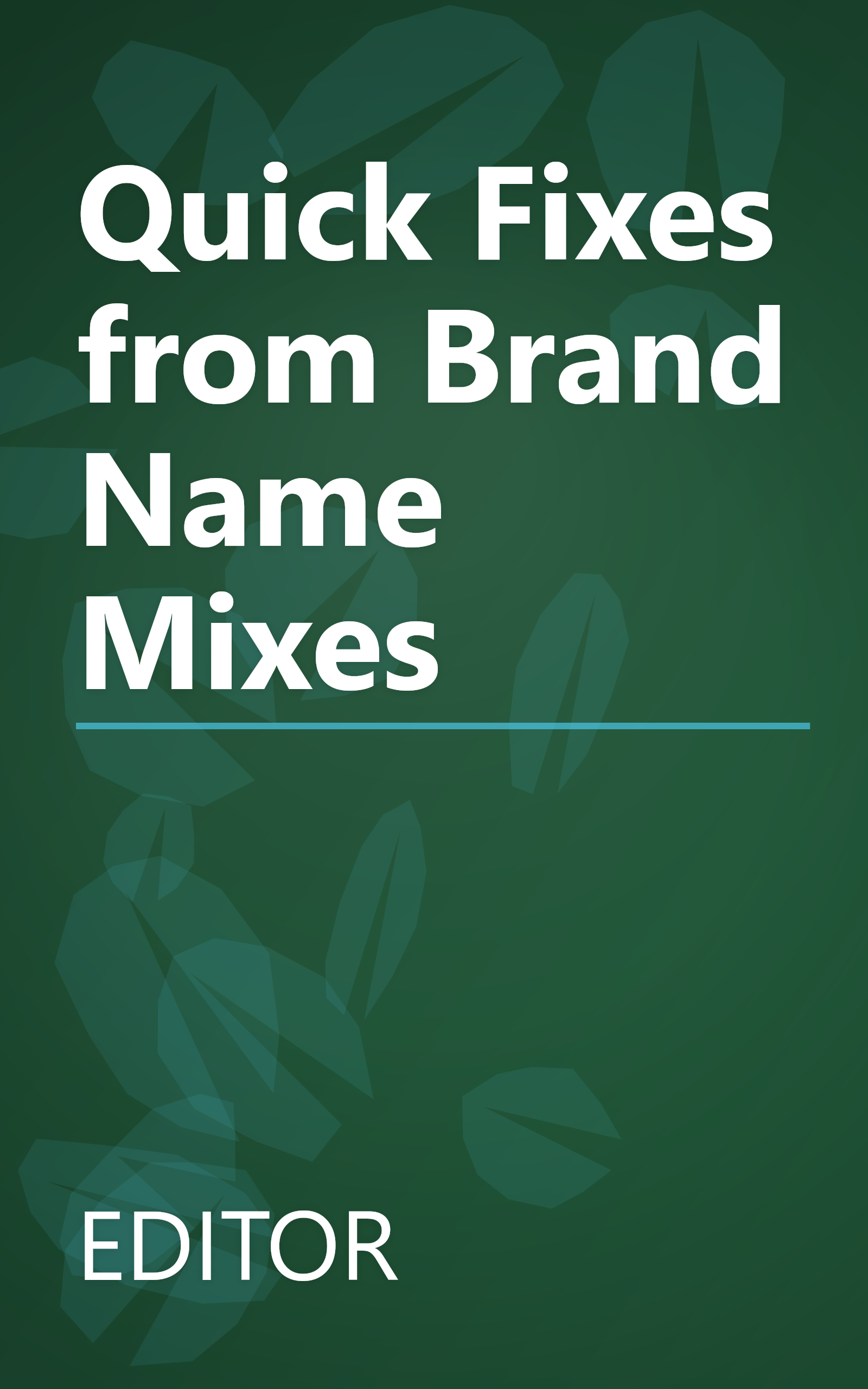Quick Fixes from Brand Name Mixes book cover