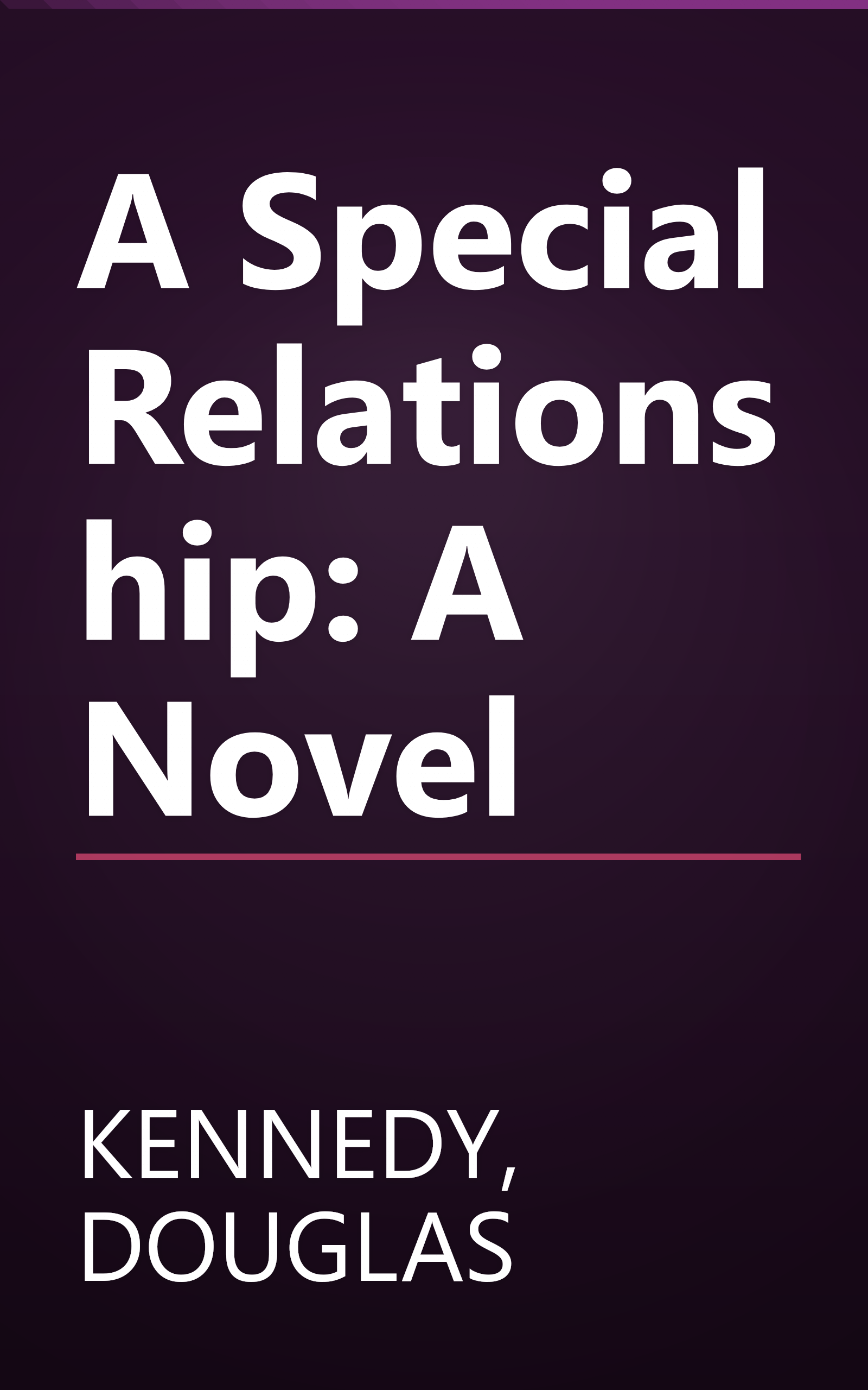 A Special Relationship: A Novel book cover