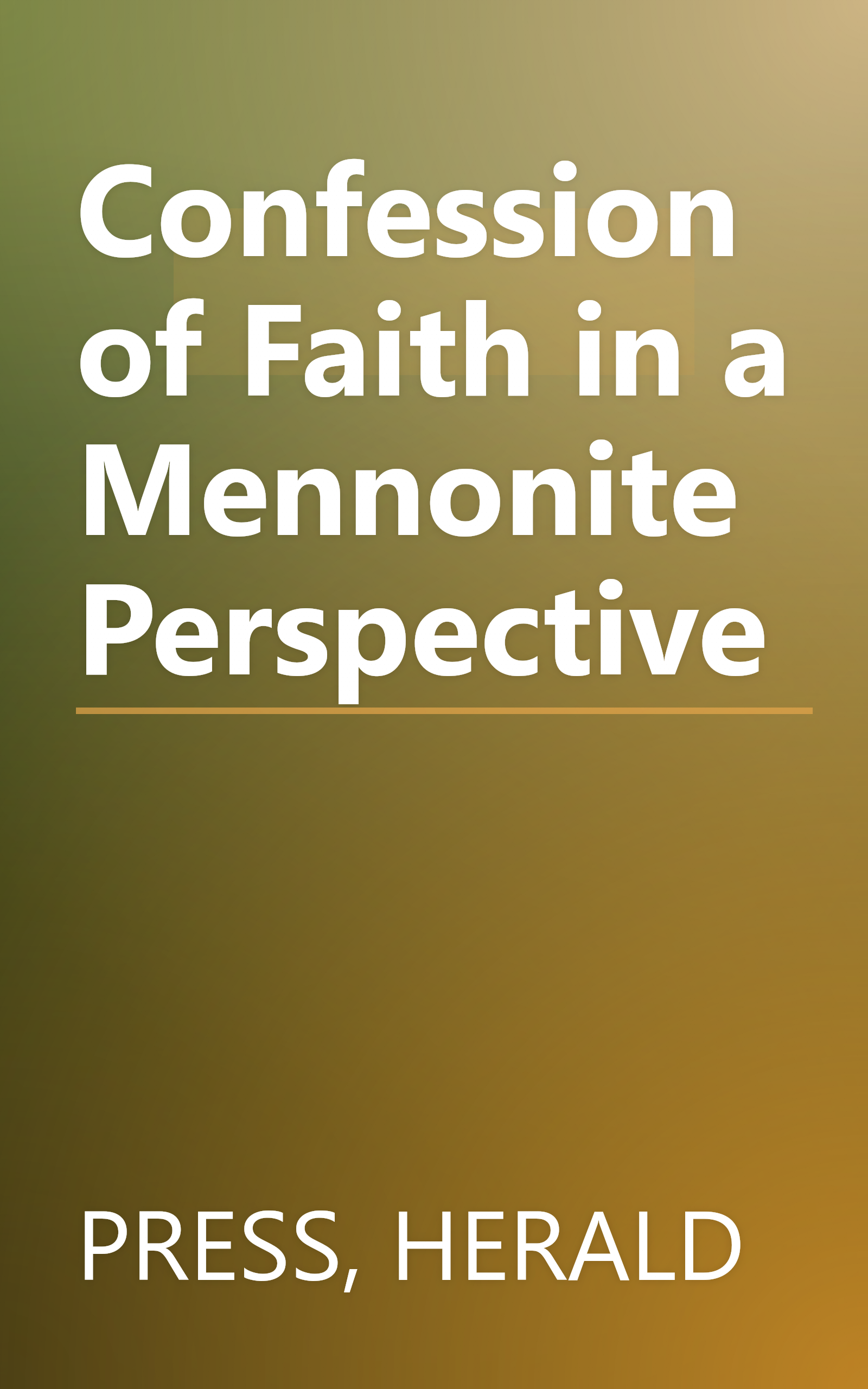 Confession of Faith in a Mennonite Perspective book cover