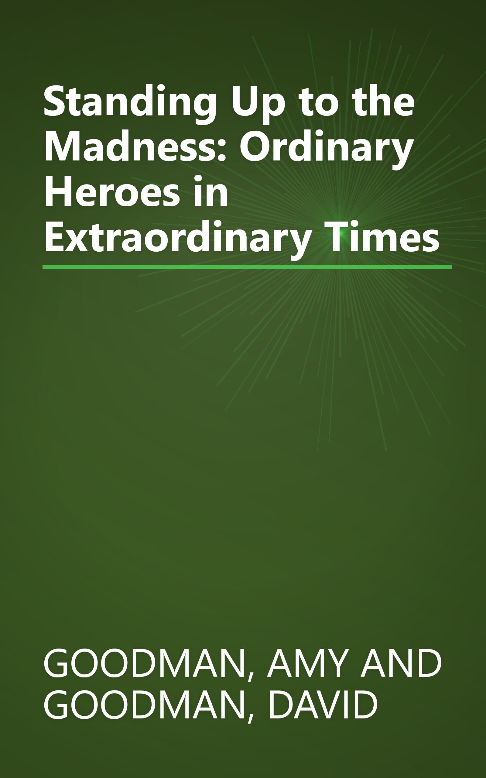 Standing Up to the Madness: Ordinary Heroes in Extraordinary Times book cover