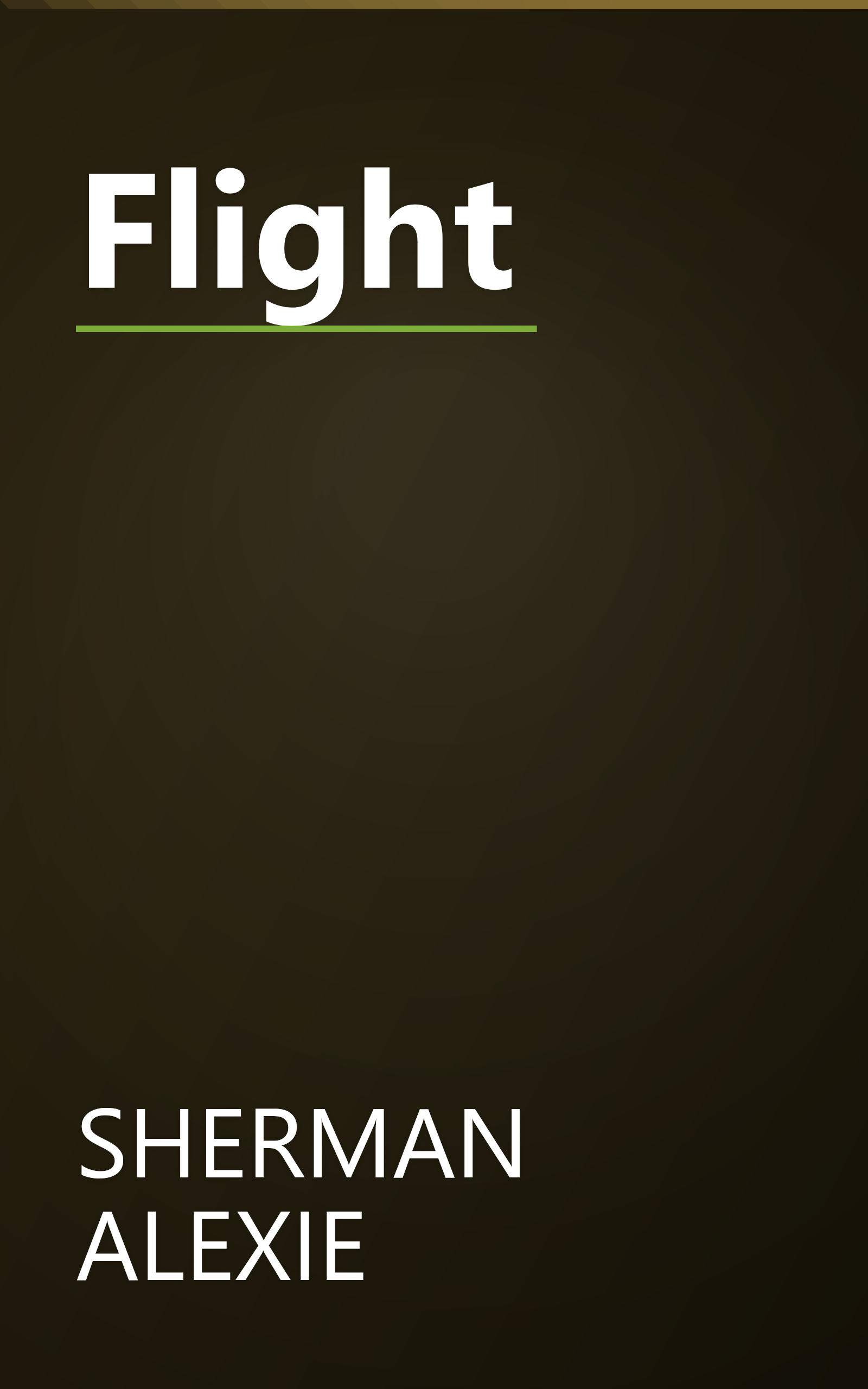 Flight book cover