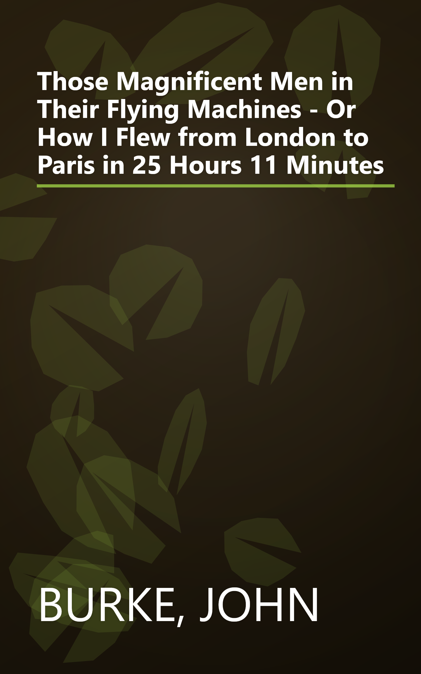 Those Magnificent Men in Their Flying Machines - Or How I Flew from London to Paris in 25 Hours 11 Minutes book cover