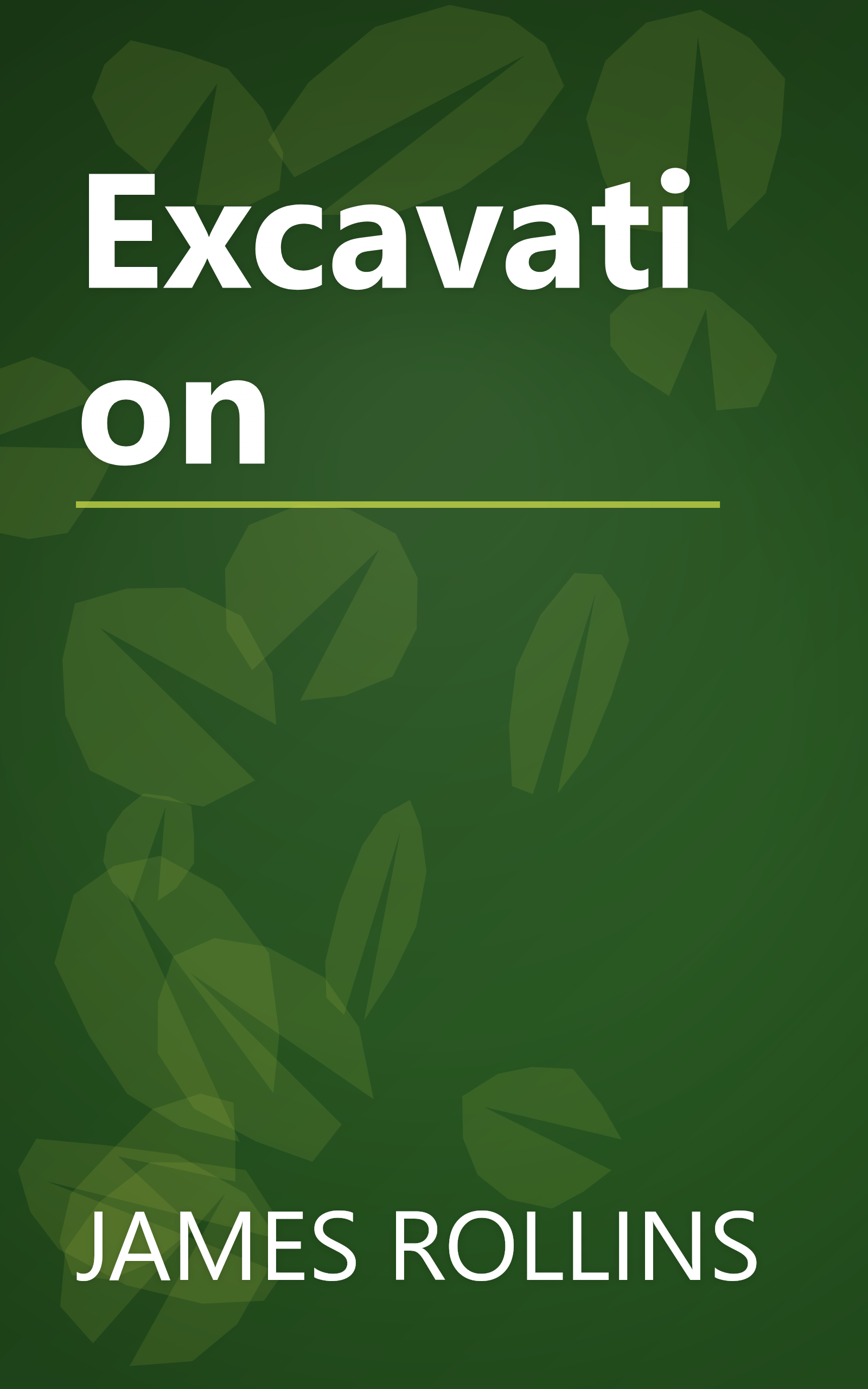 Excavation book cover