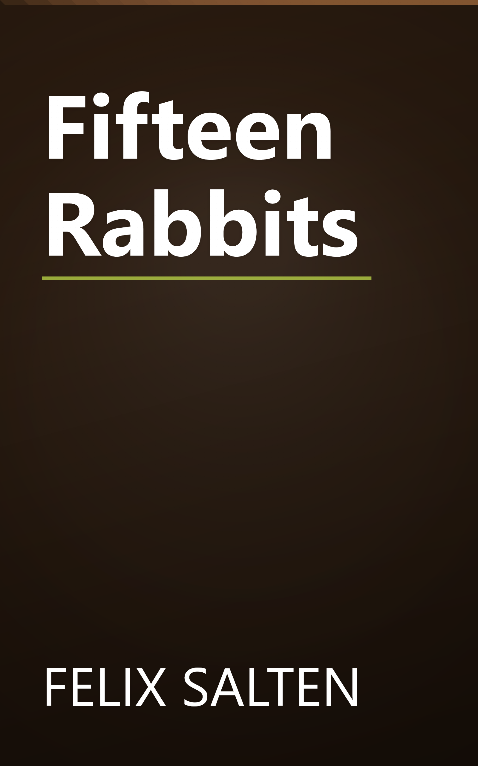 Fifteen Rabbits book cover