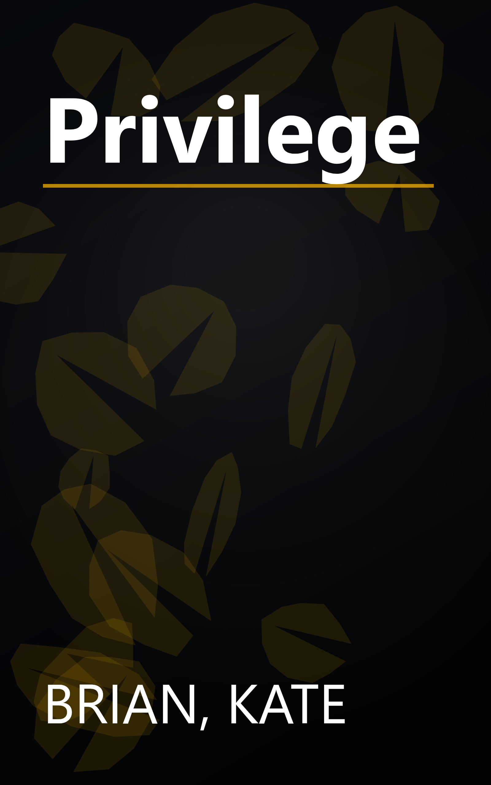 Privilege book cover