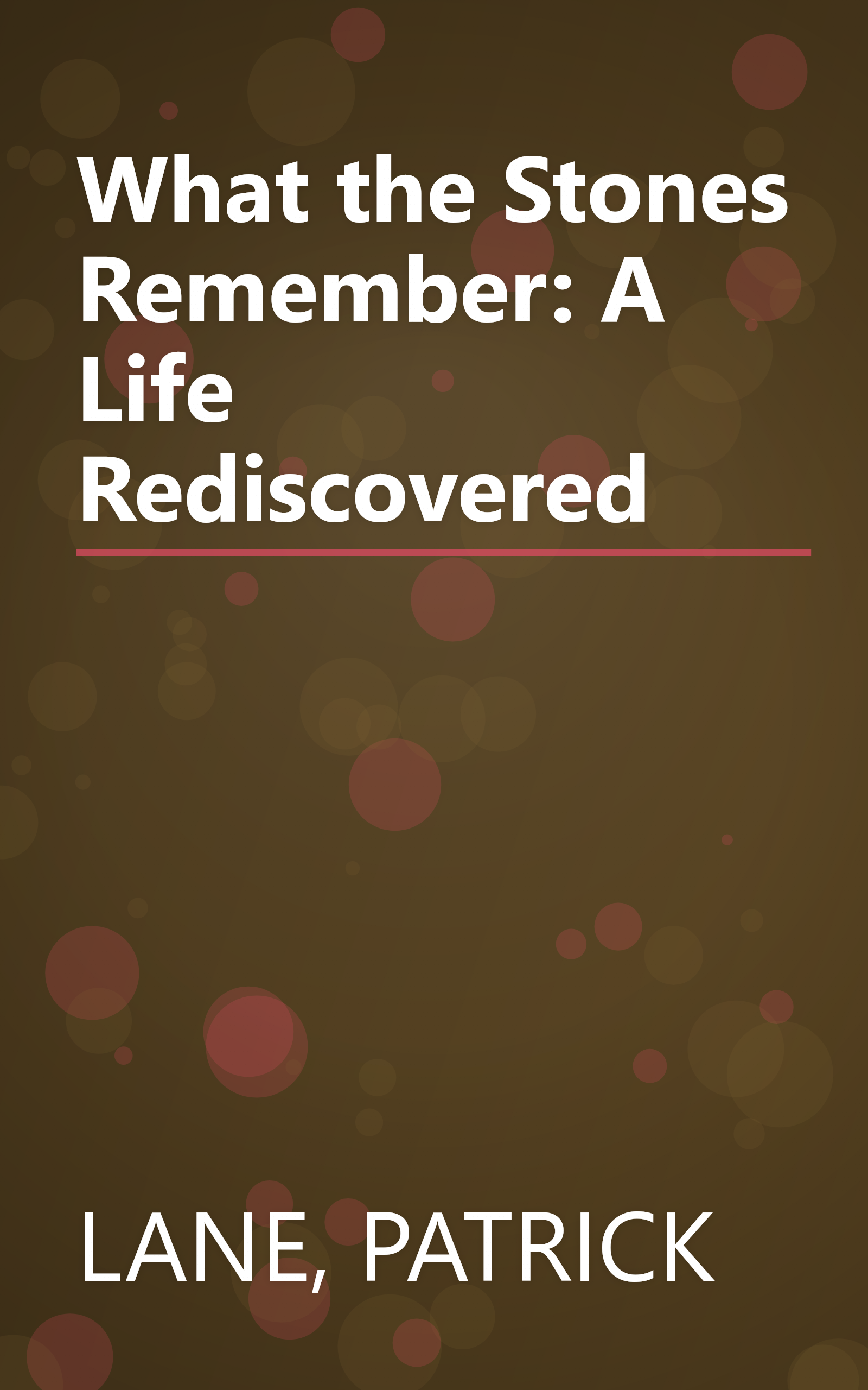 What the Stones Remember: A Life Rediscovered book cover