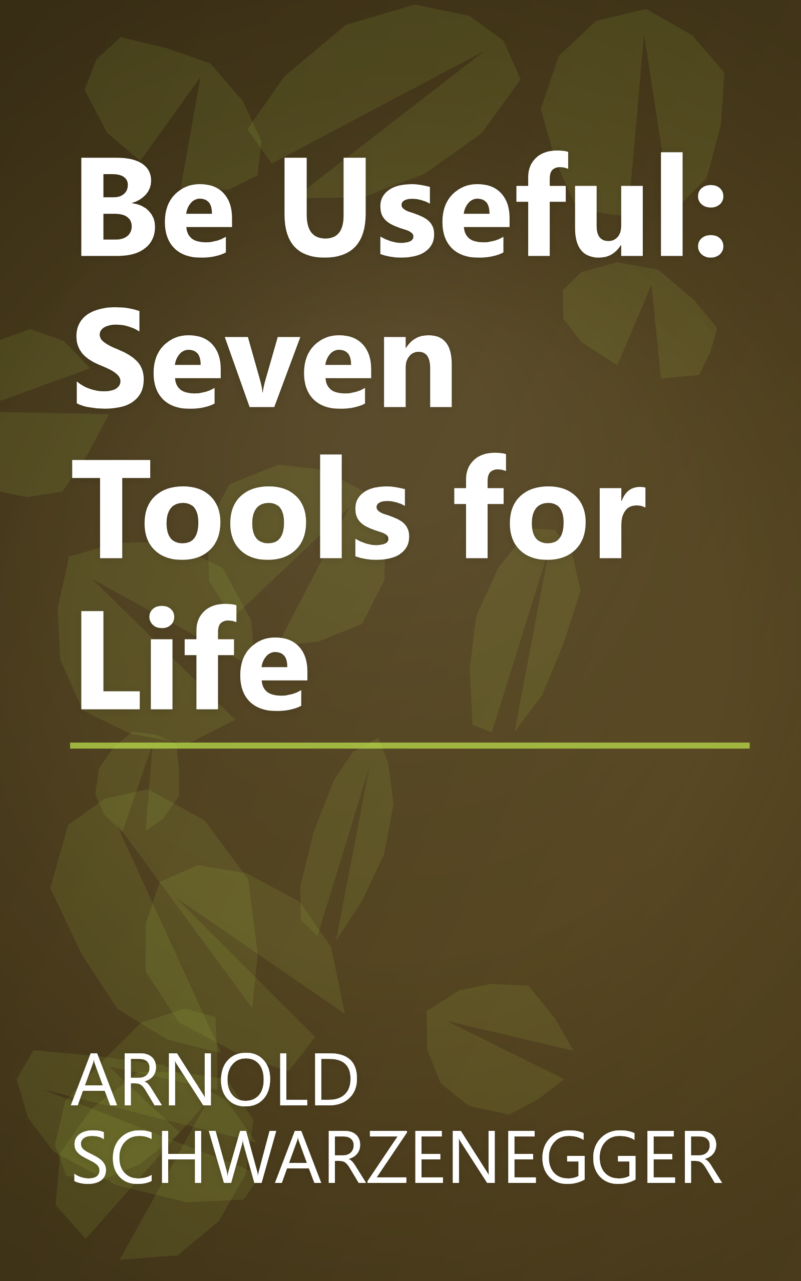 Be Useful: Seven Tools for Life book cover