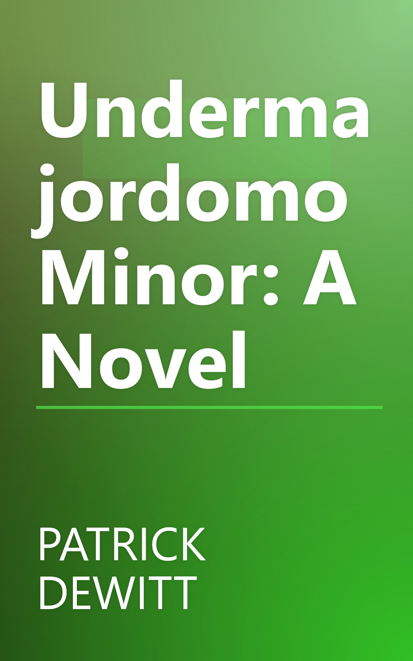 Undermajordomo Minor: A Novel book cover