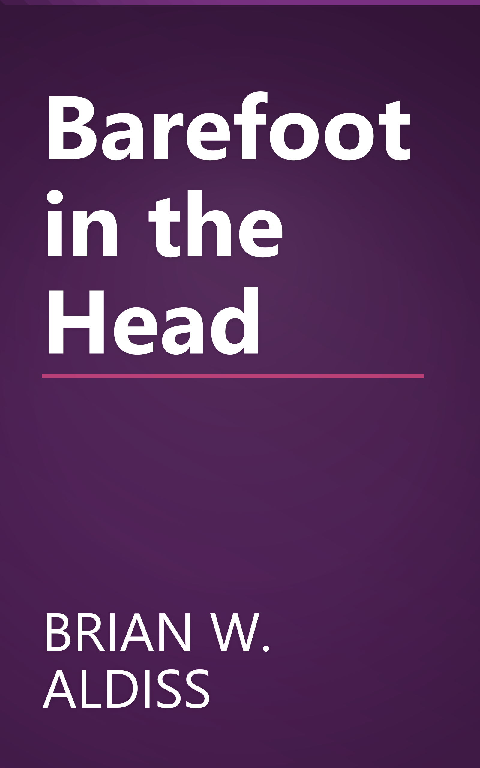 Barefoot in the Head book cover