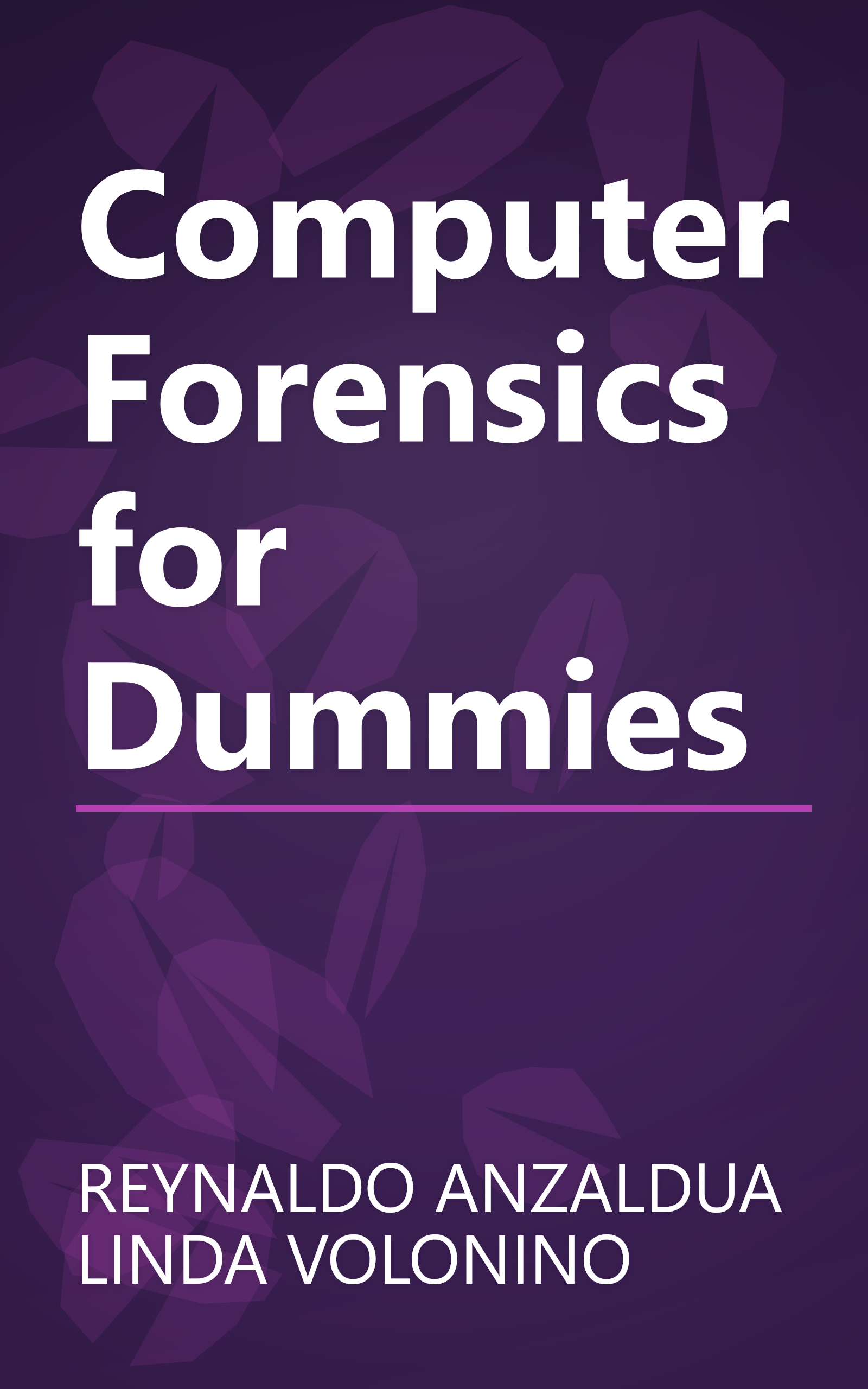 Computer Forensics for Dummies book cover