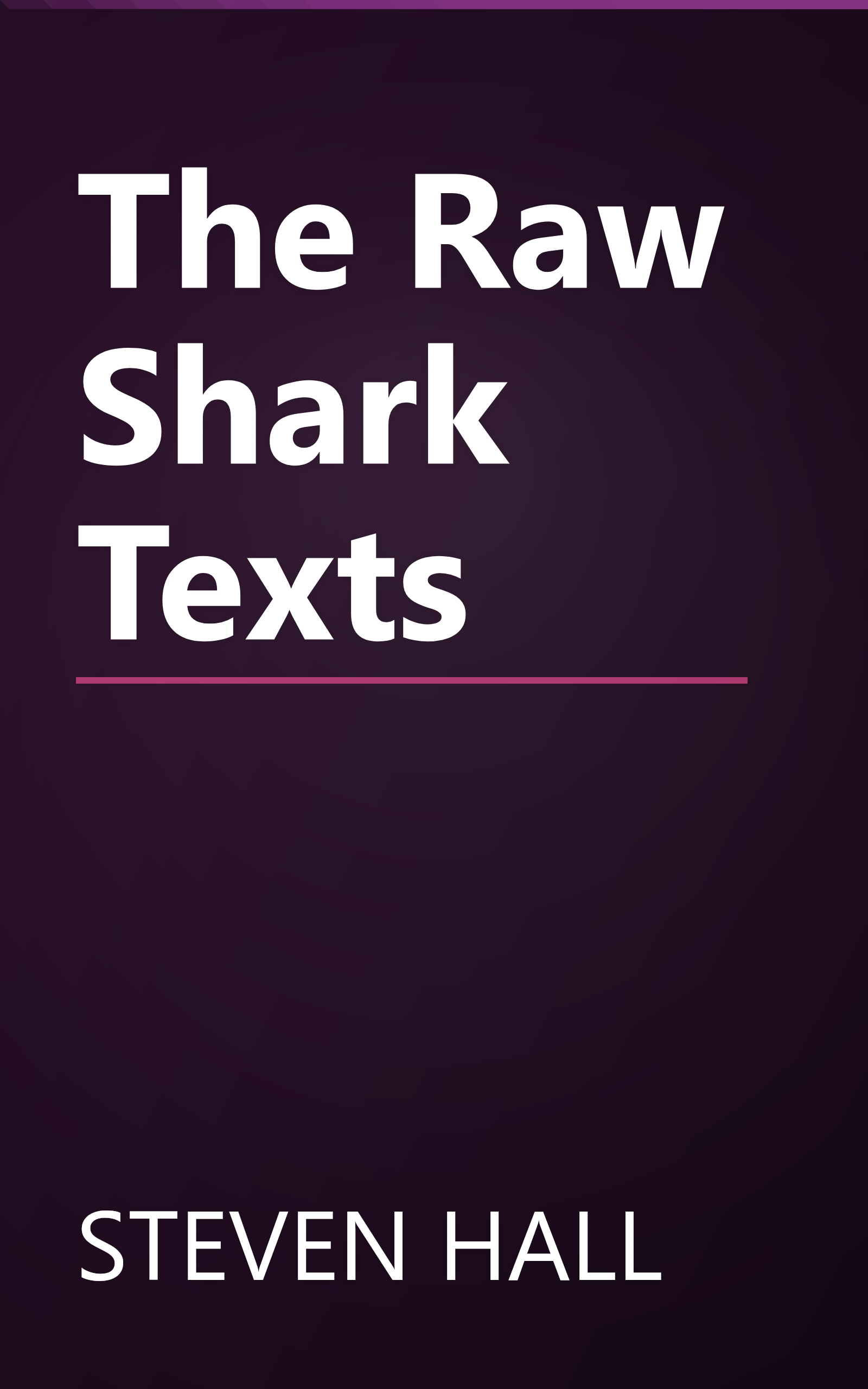 The Raw Shark Texts book cover
