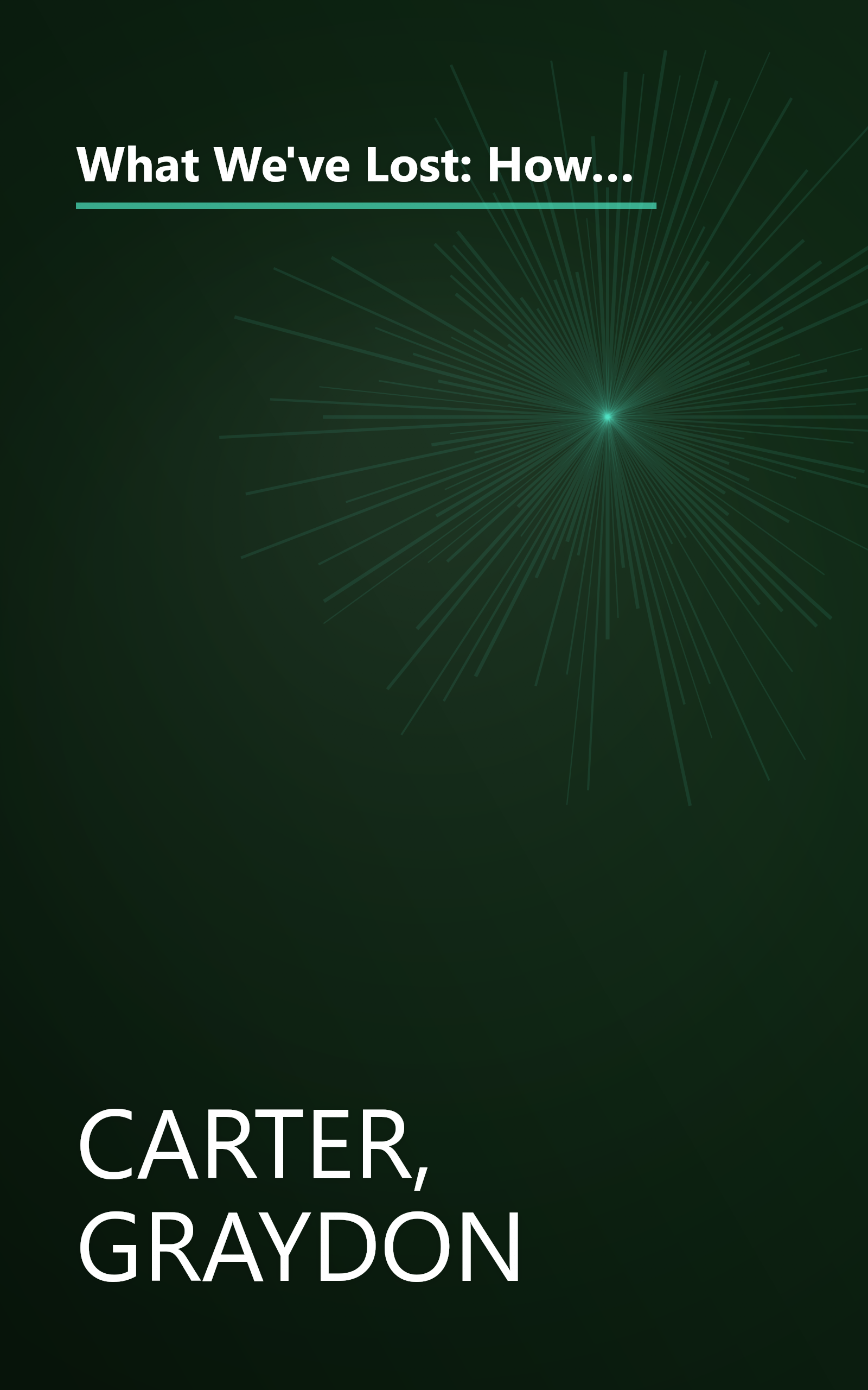 What We've Lost: How the Bush Administration Has Curtailed Our Freedoms, Mortgaged Our Economy, Ravaged Our Environment, and Damaged Our Standing in the World book cover
