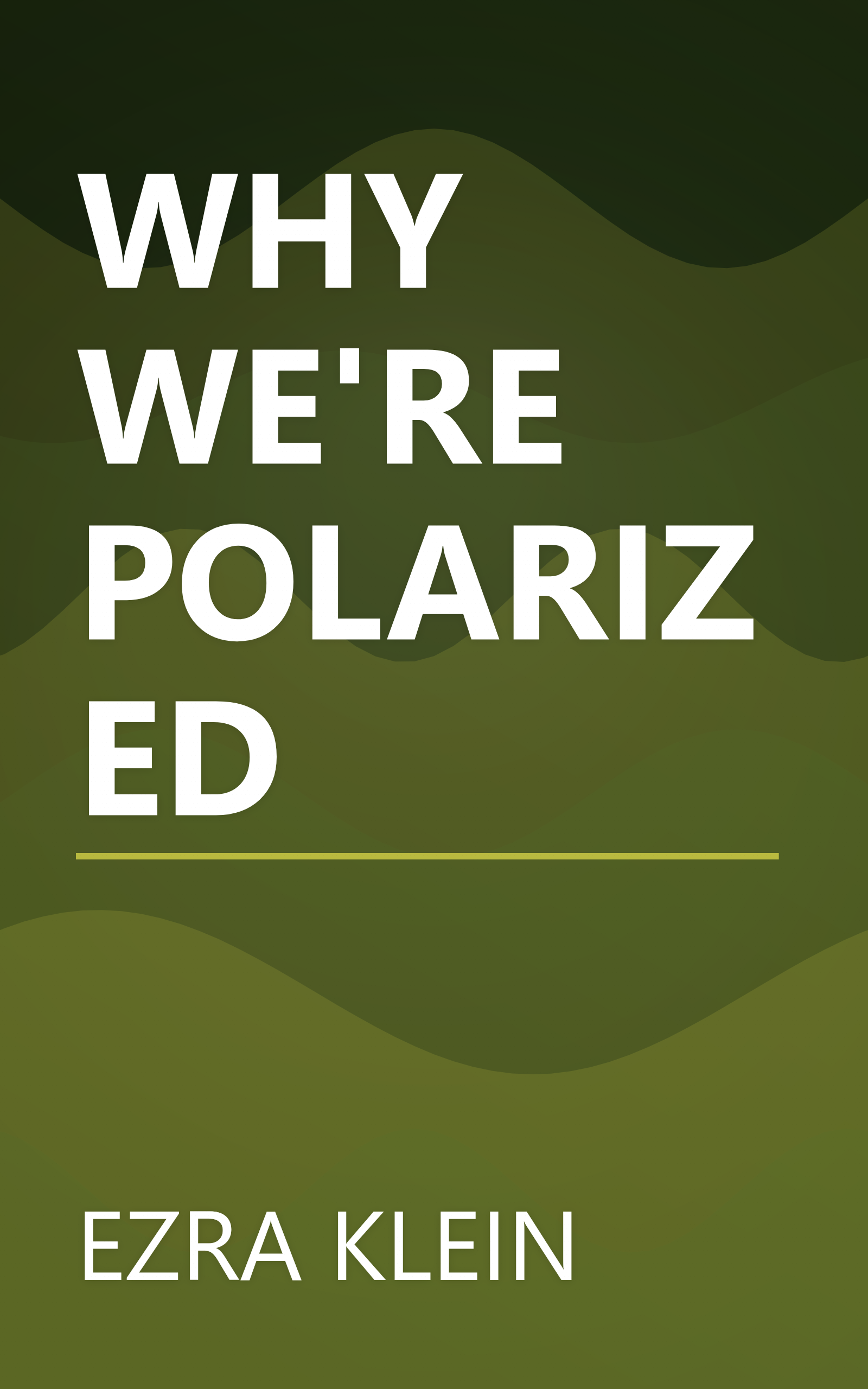 WHY WE'RE POLARIZED book cover
