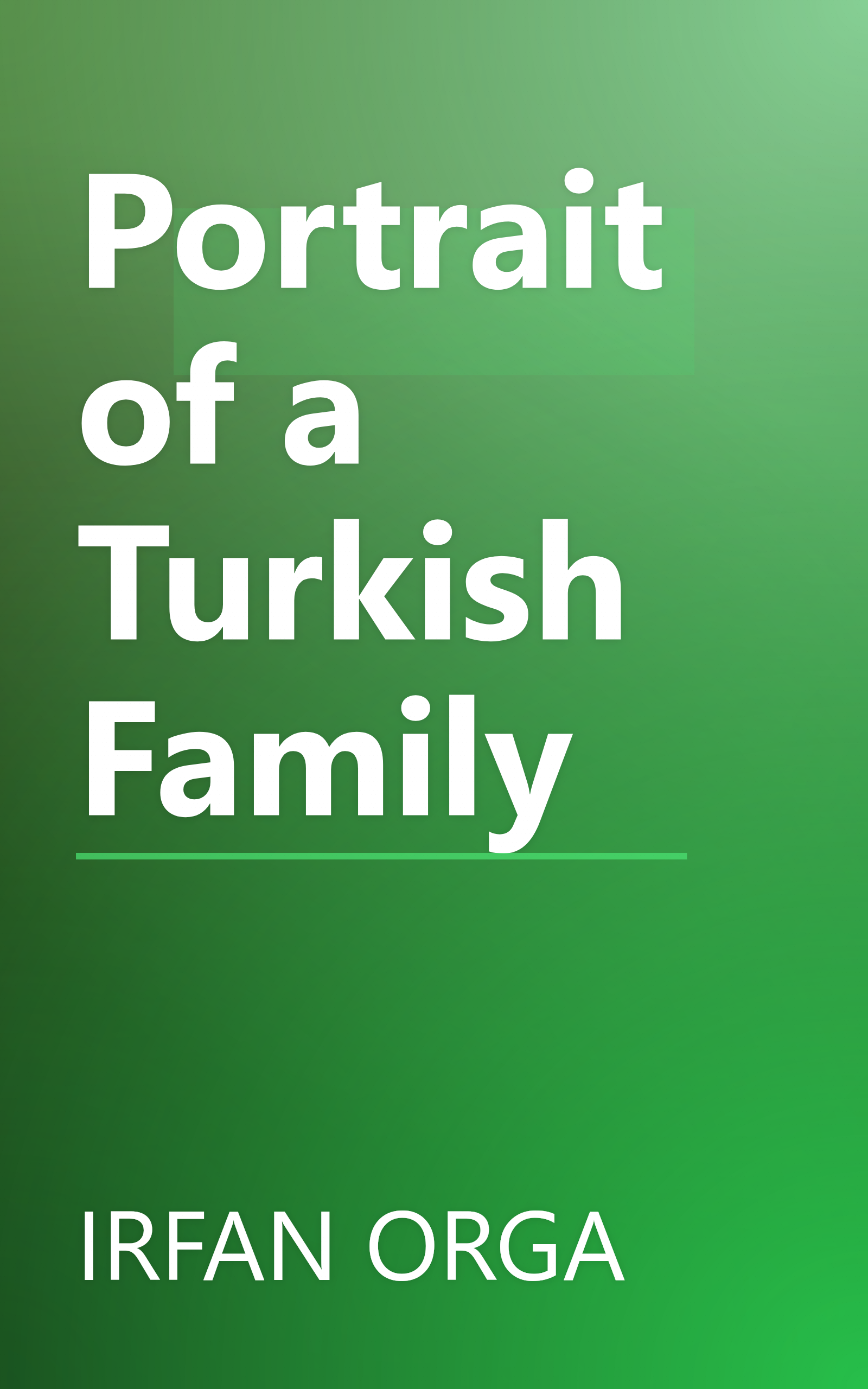 Portrait of a Turkish Family book cover