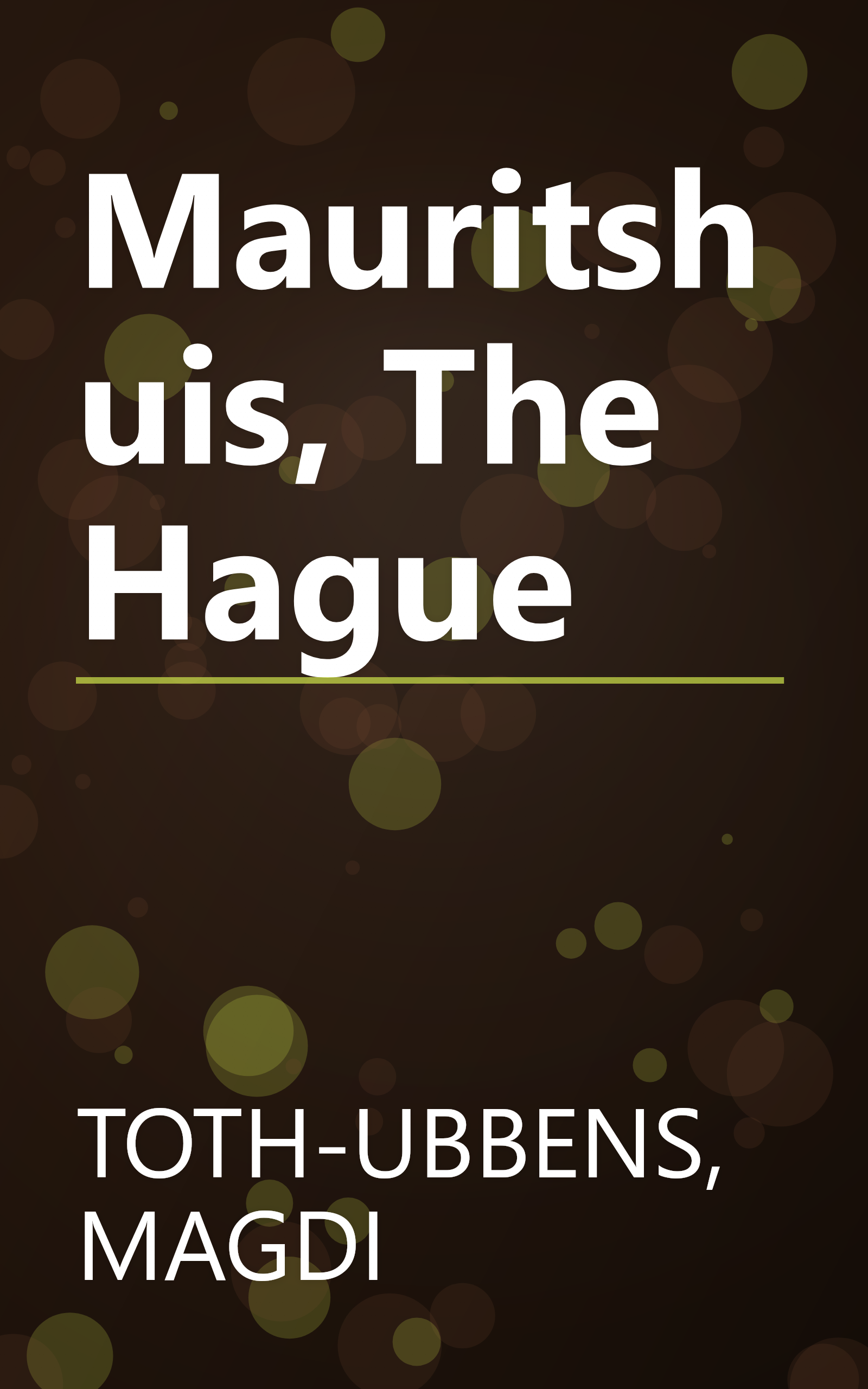 Mauritshuis, The Hague book cover