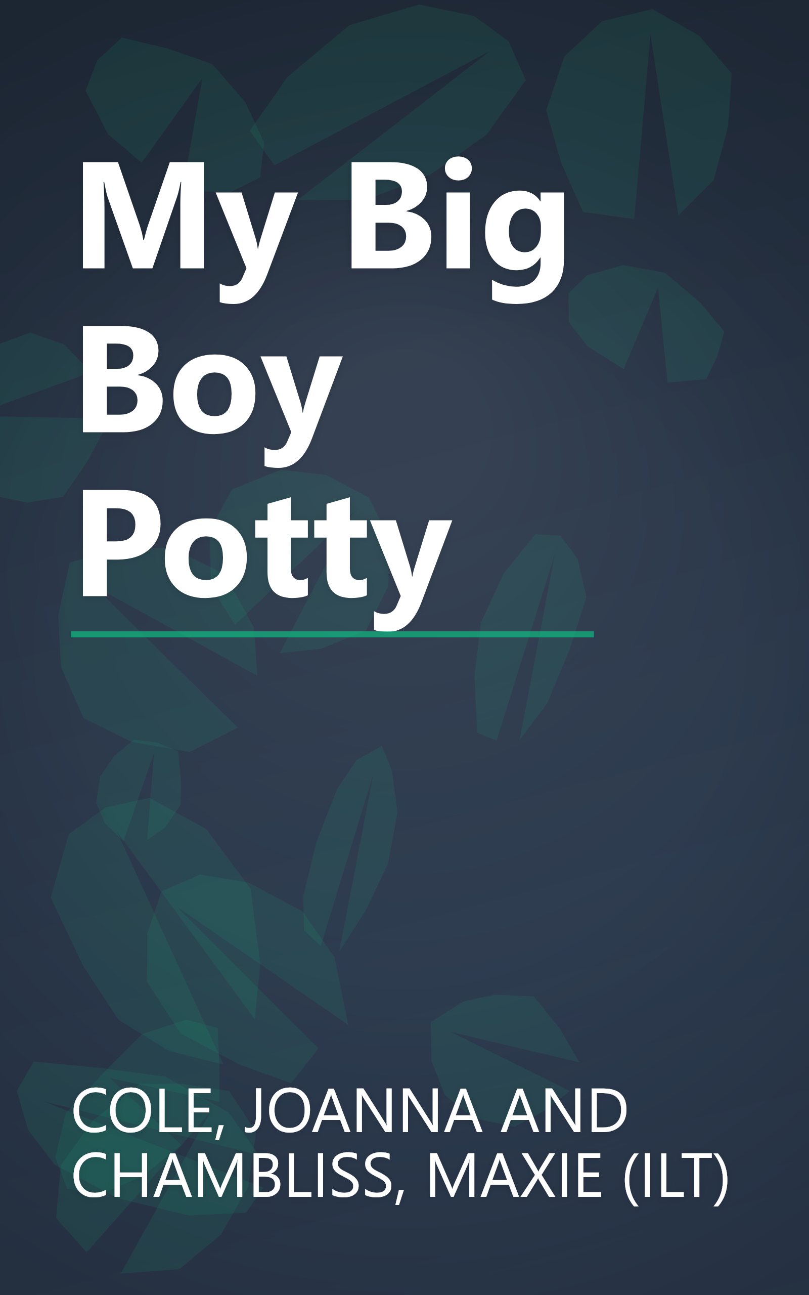 My Big Boy Potty book cover