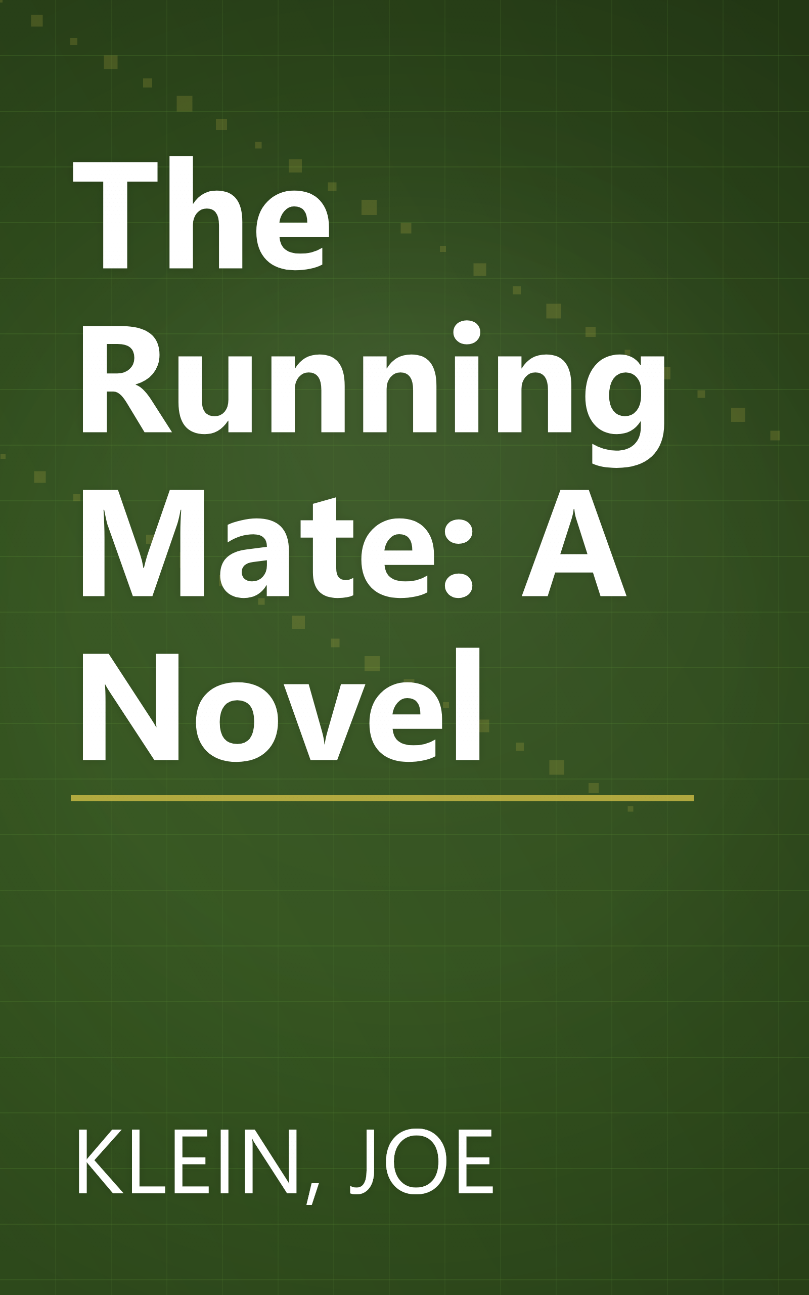 The Running Mate: A Novel book cover