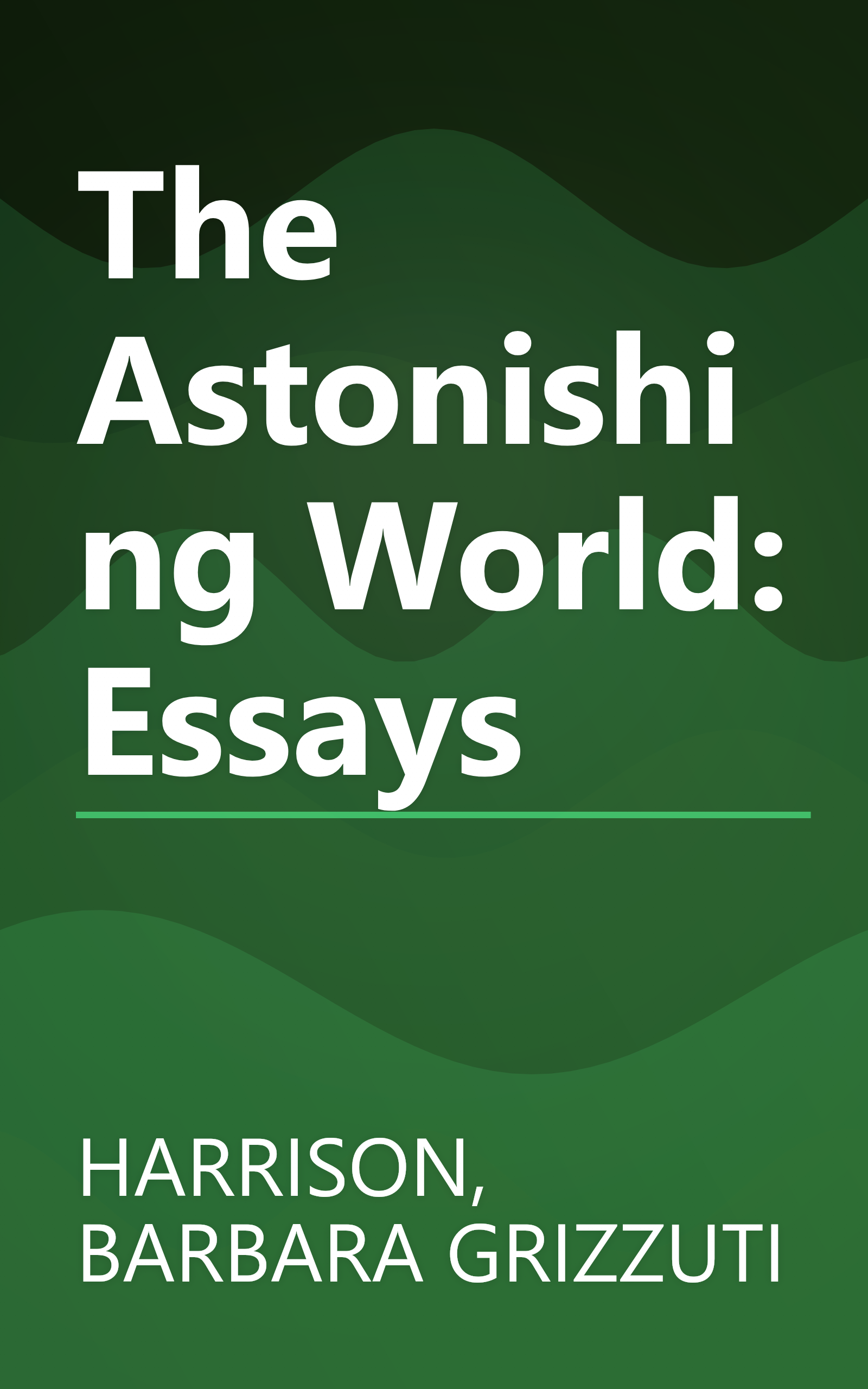 The Astonishing World: Essays book cover