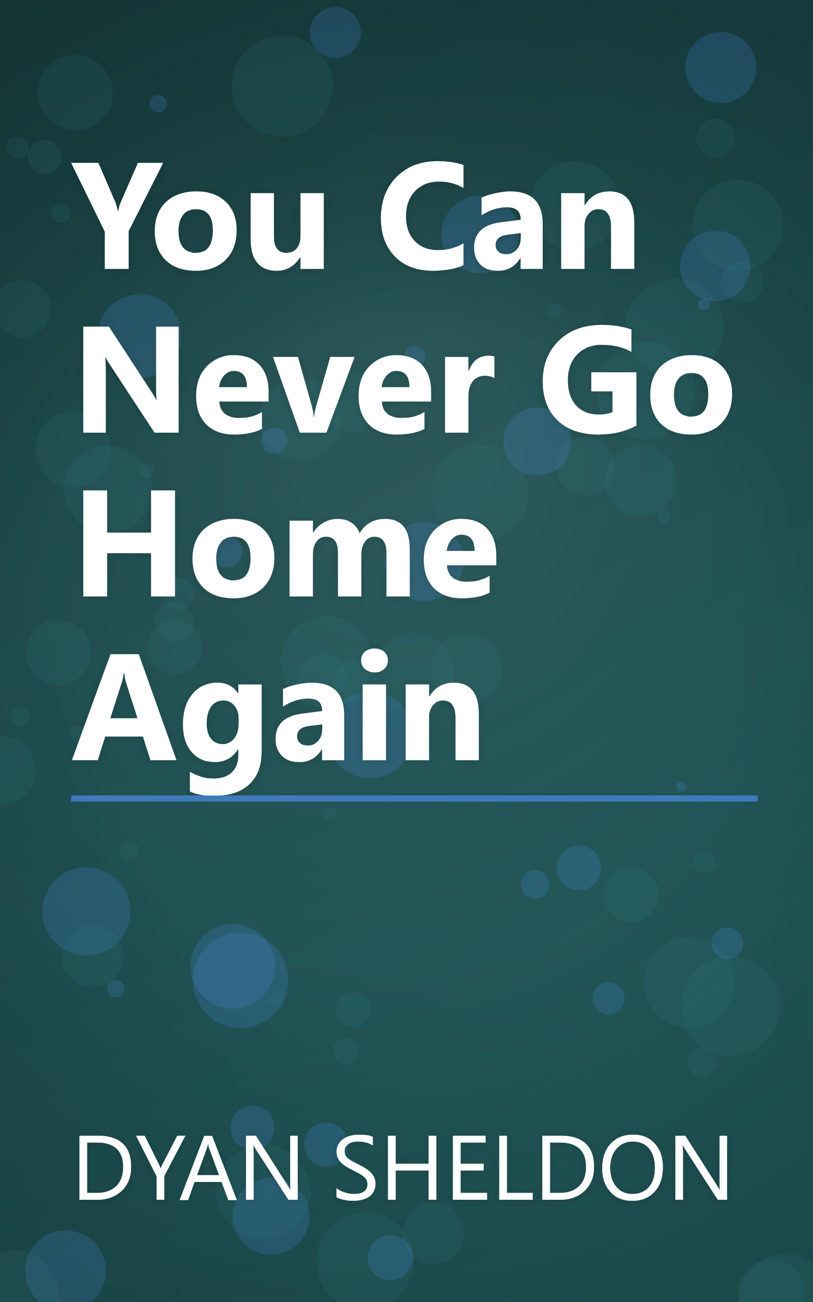 You Can Never Go Home Again book cover