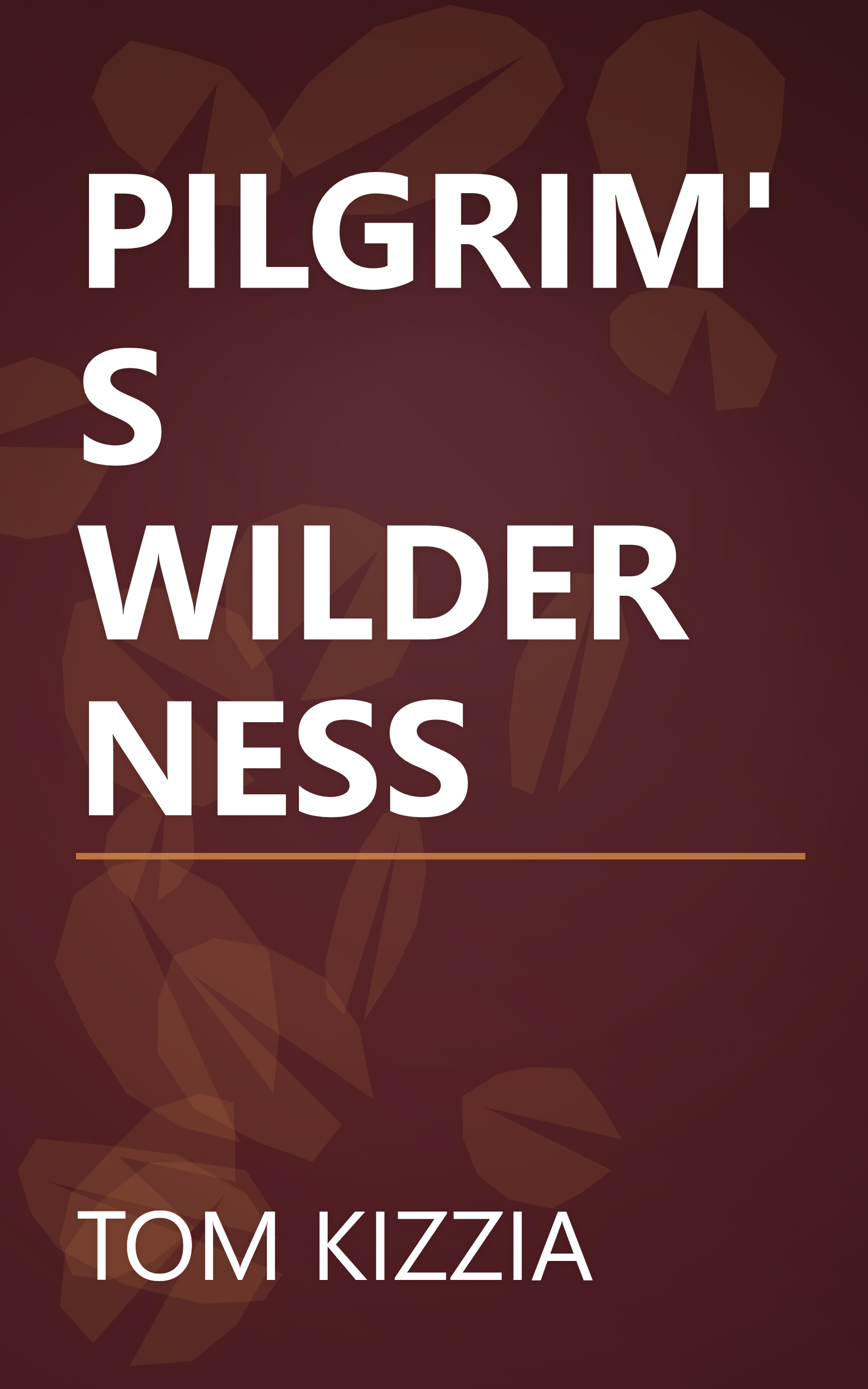 PILGRIM'S WILDERNESS book cover