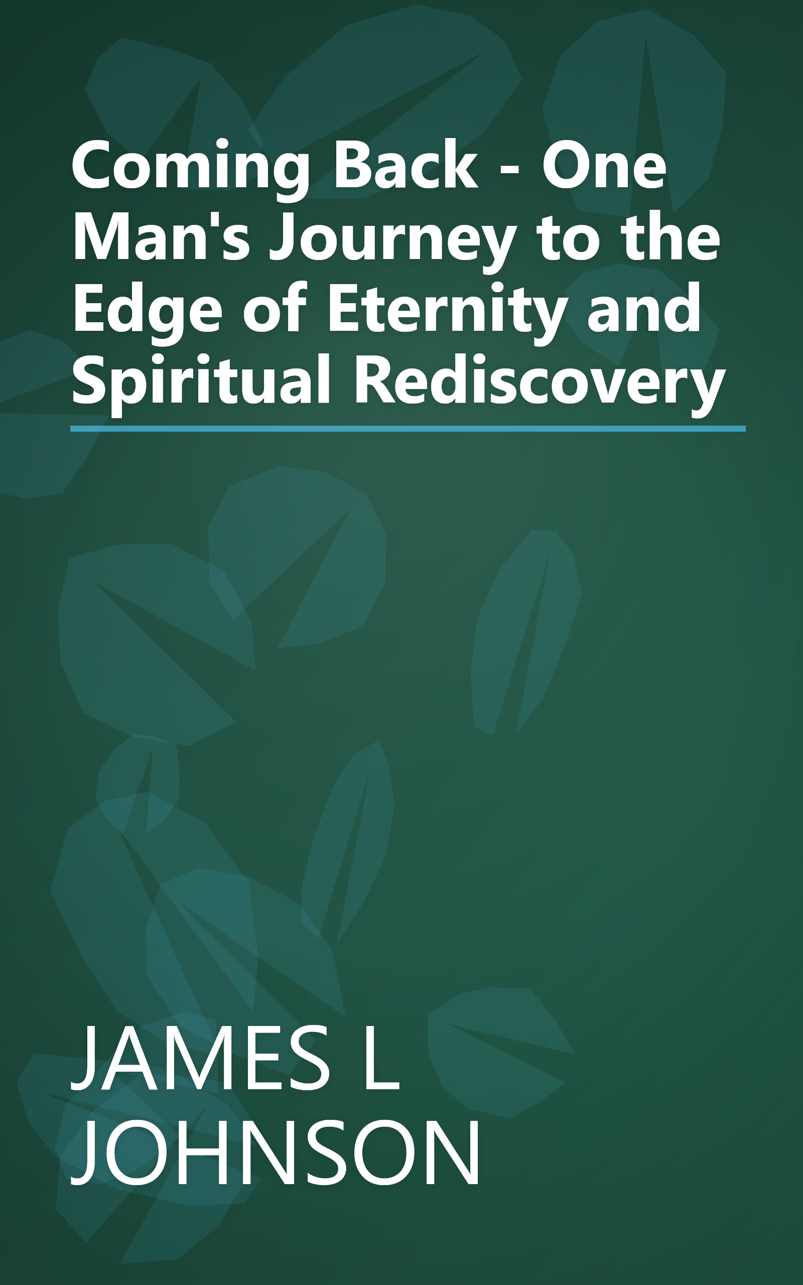 Coming Back - One Man's Journey to the Edge of Eternity and Spiritual Rediscovery book cover