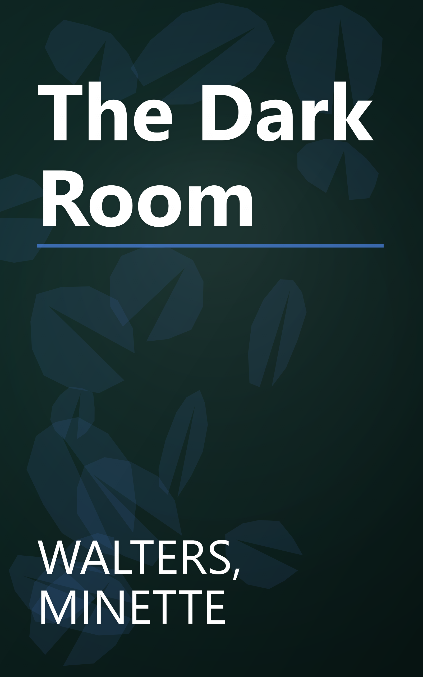 The Dark Room book cover