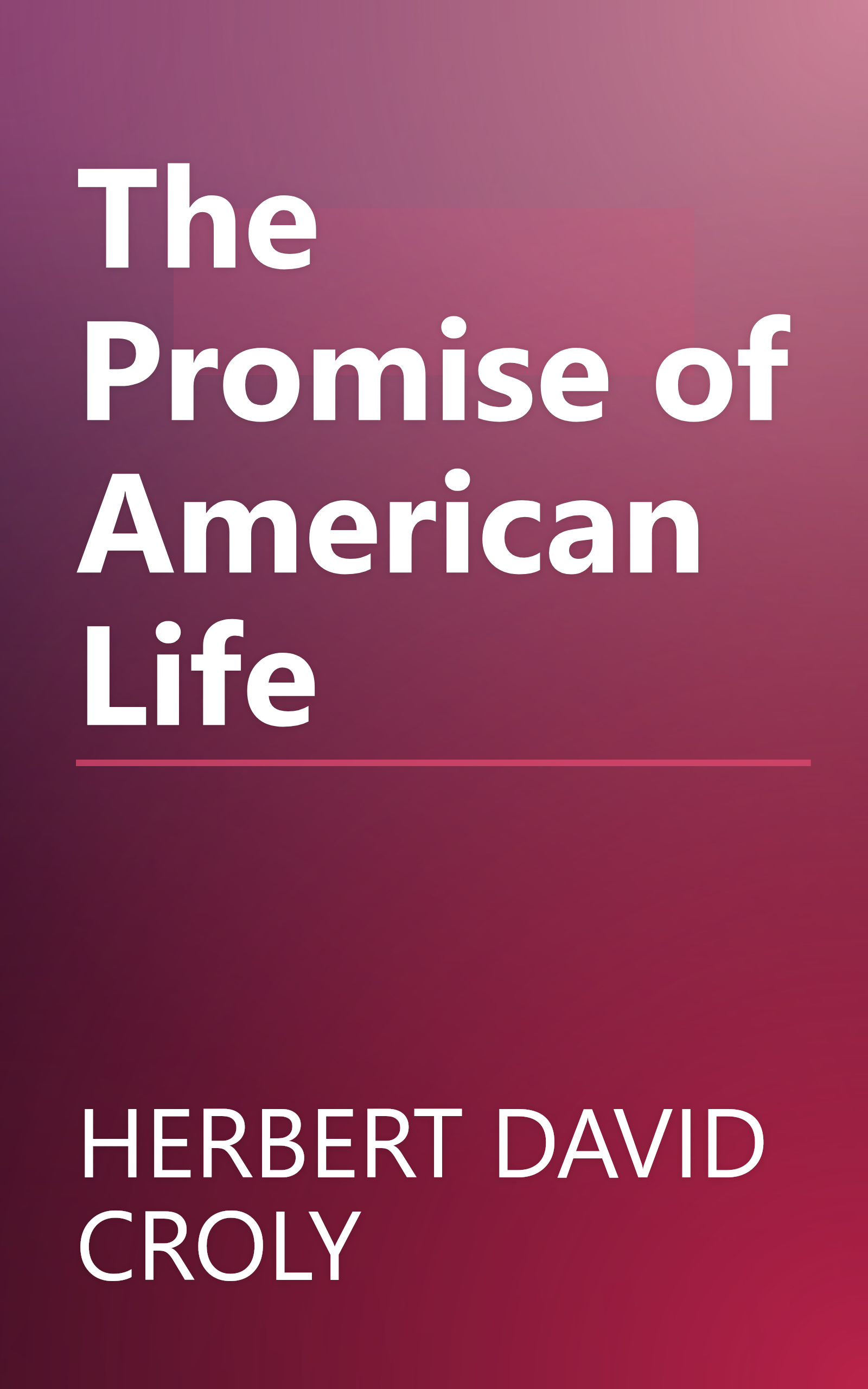 The Promise of American Life book cover