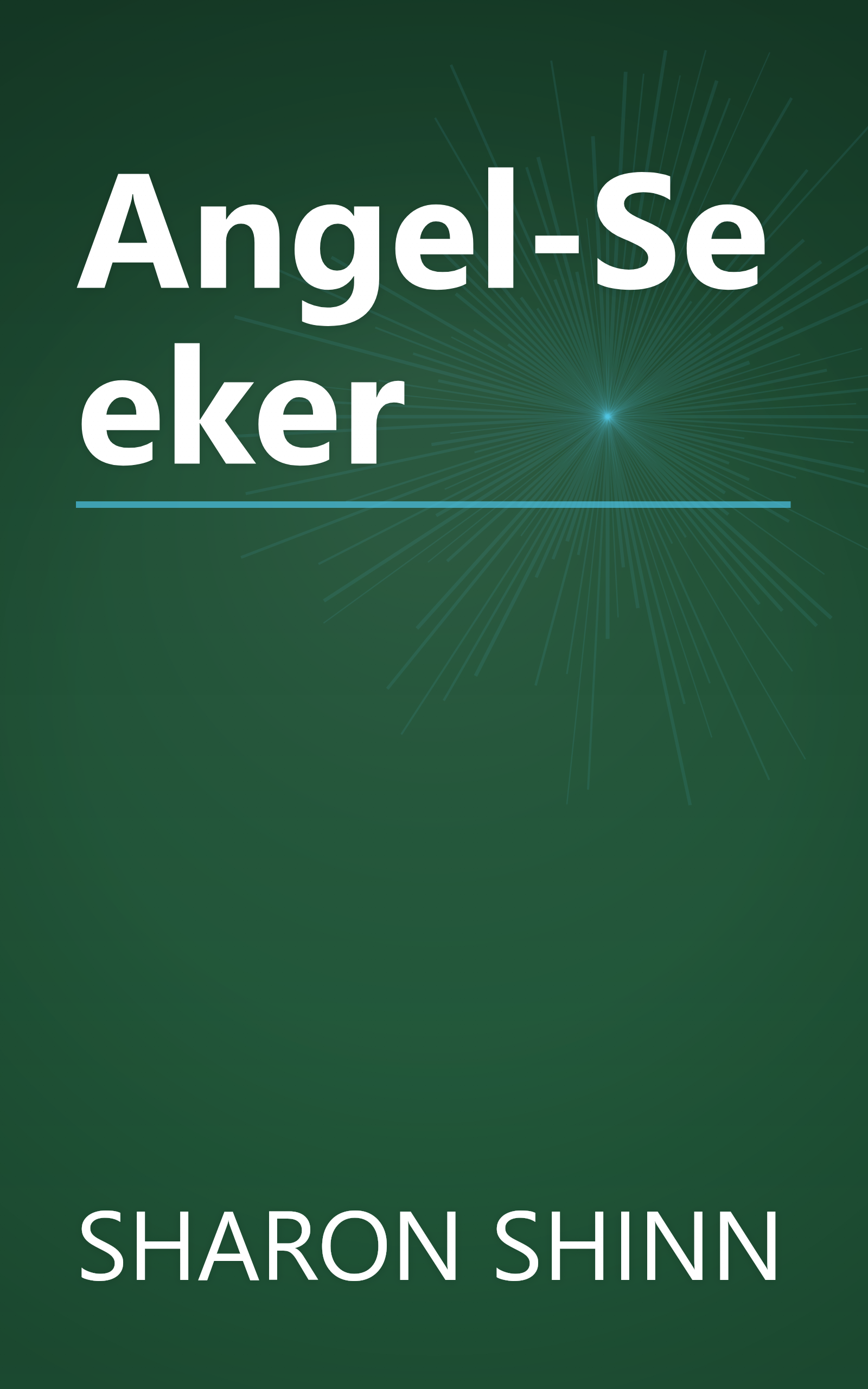 Angel-Seeker book cover