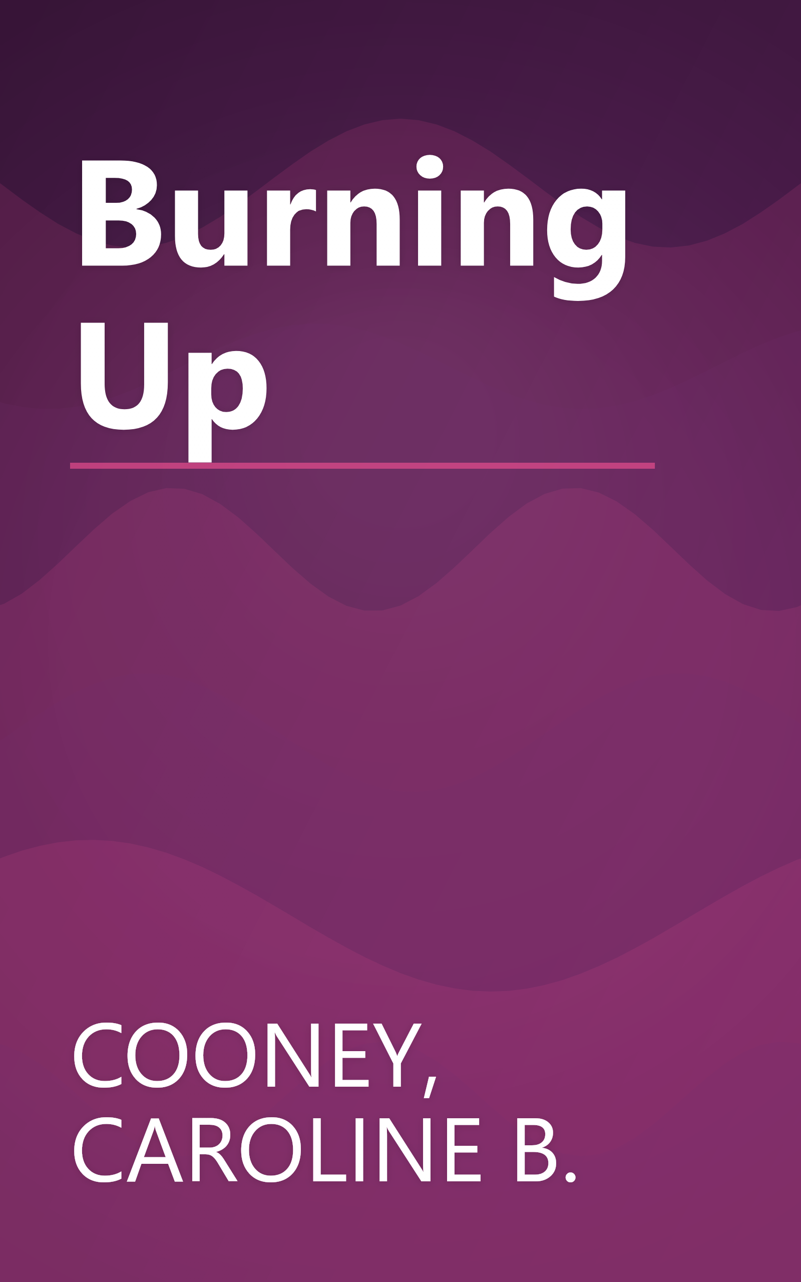 Burning Up book cover