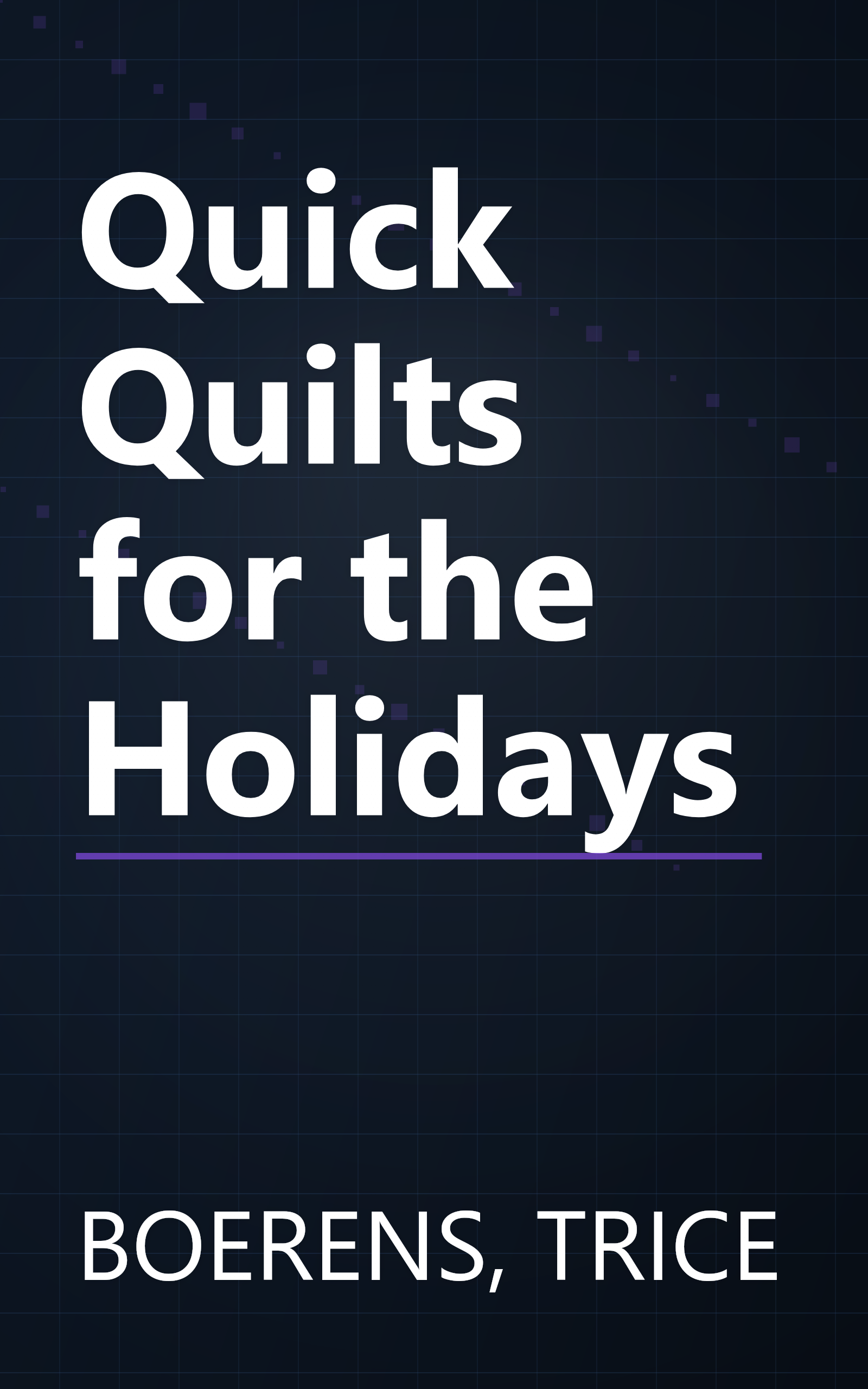 Quick Quilts for the Holidays book cover