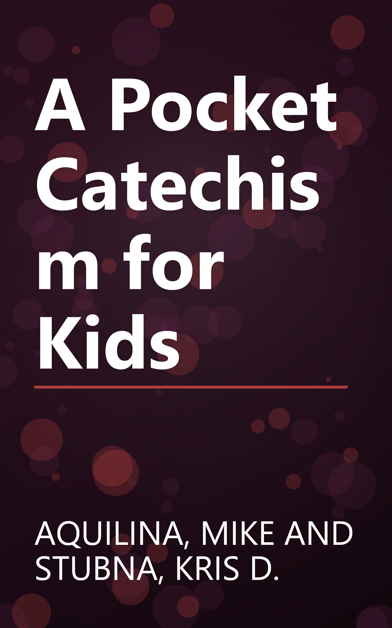 A Pocket Catechism for Kids book cover
