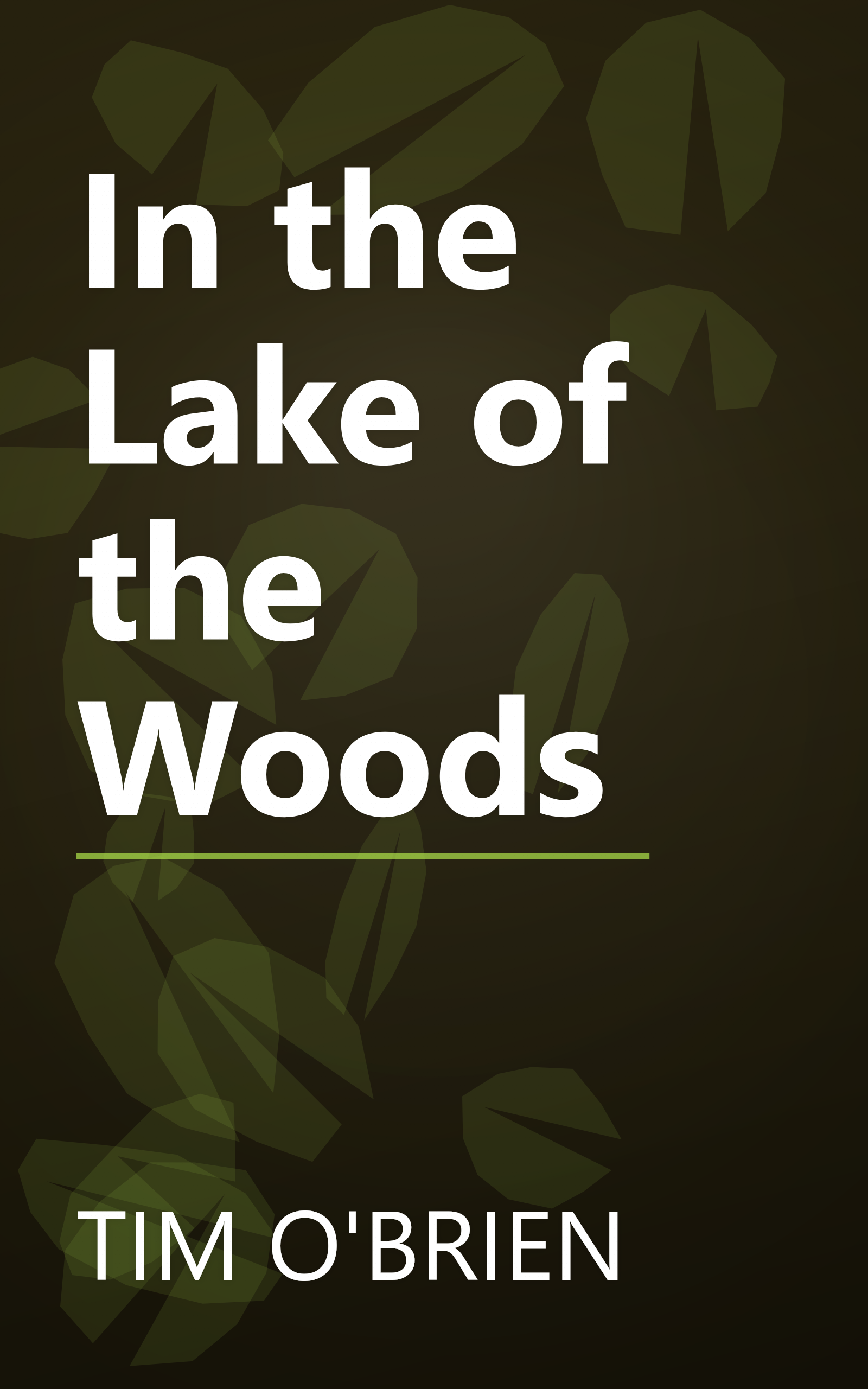 In the Lake of the Woods book cover