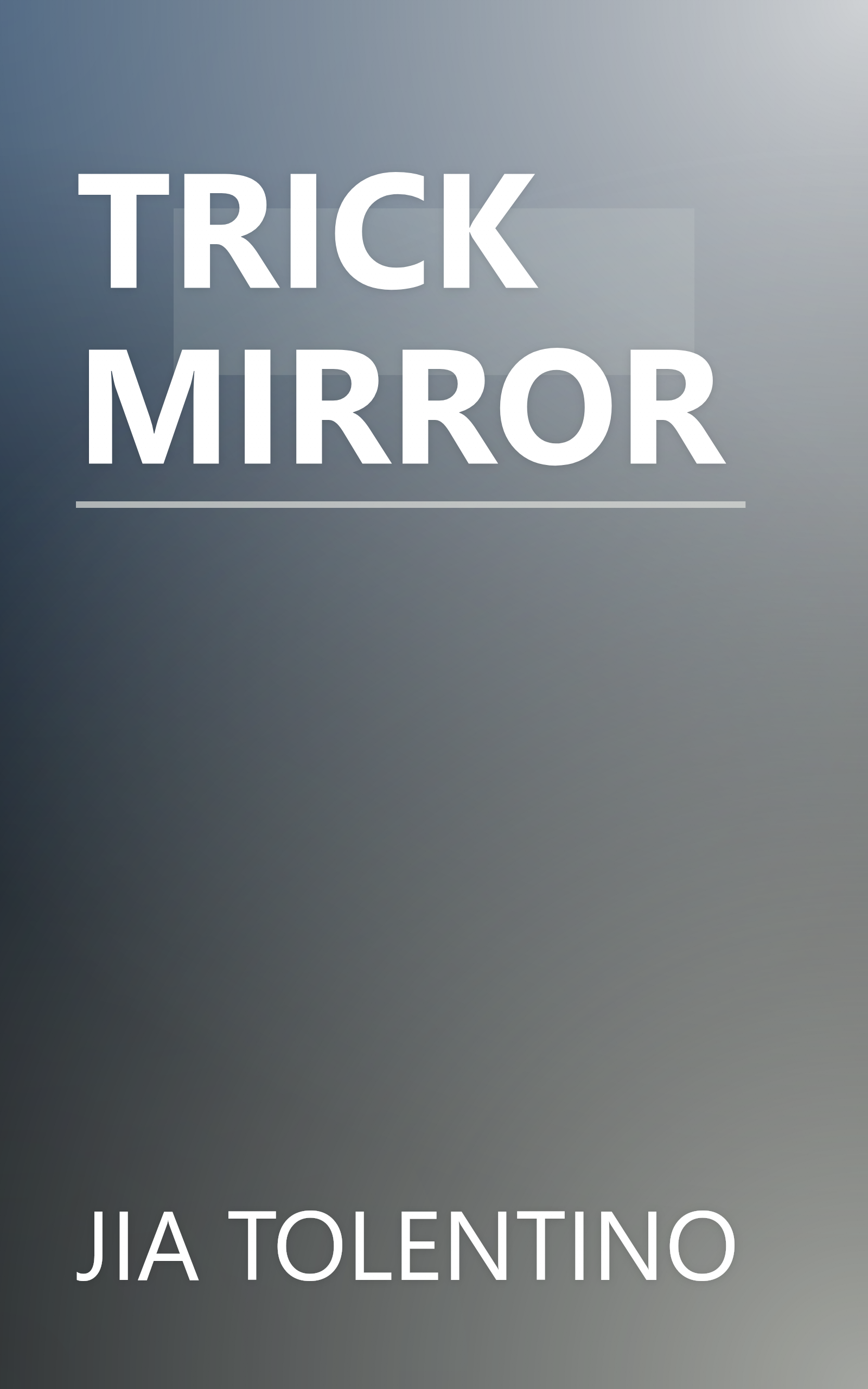 TRICK MIRROR book cover