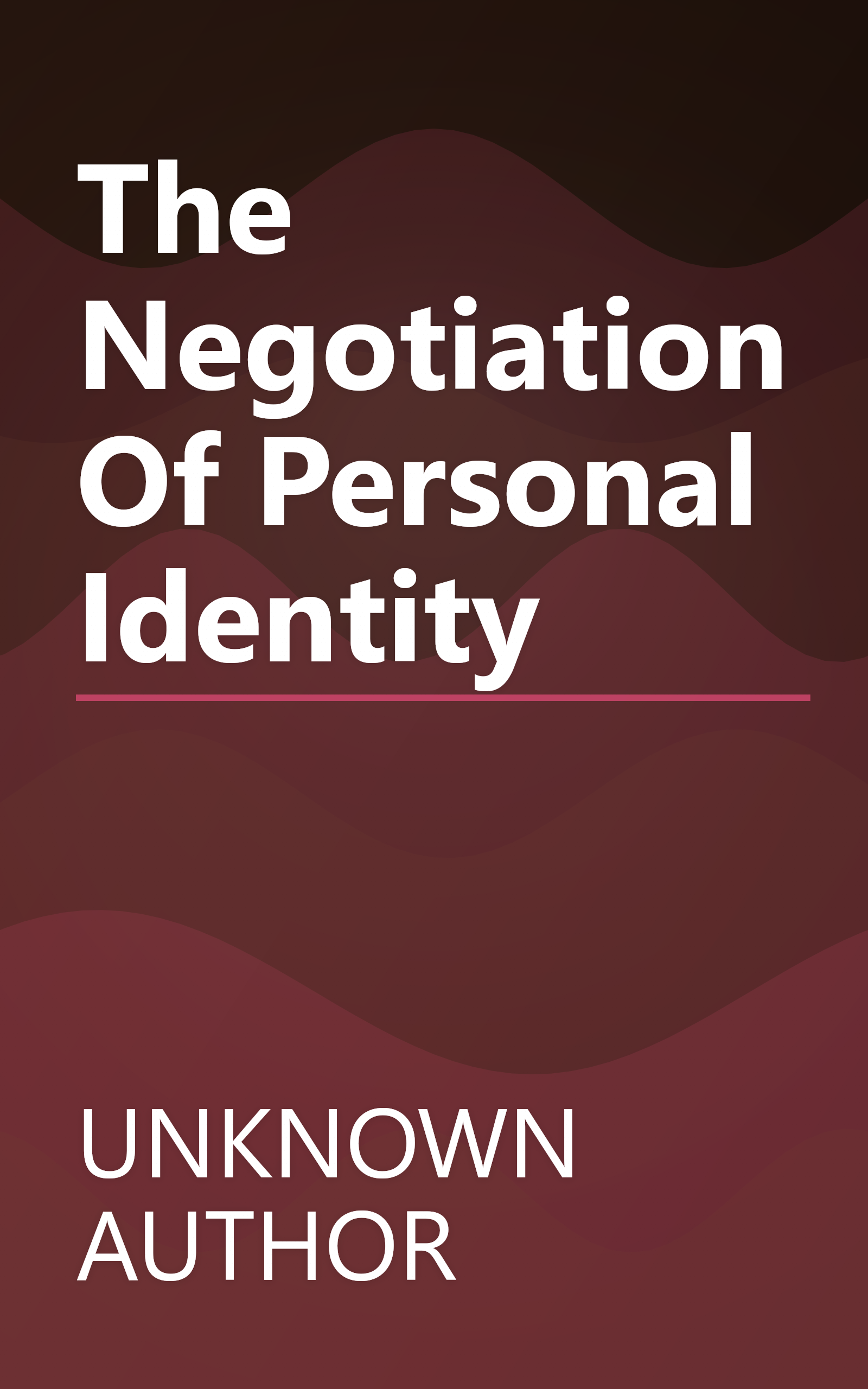 The Negotiation Of Personal Identity book cover
