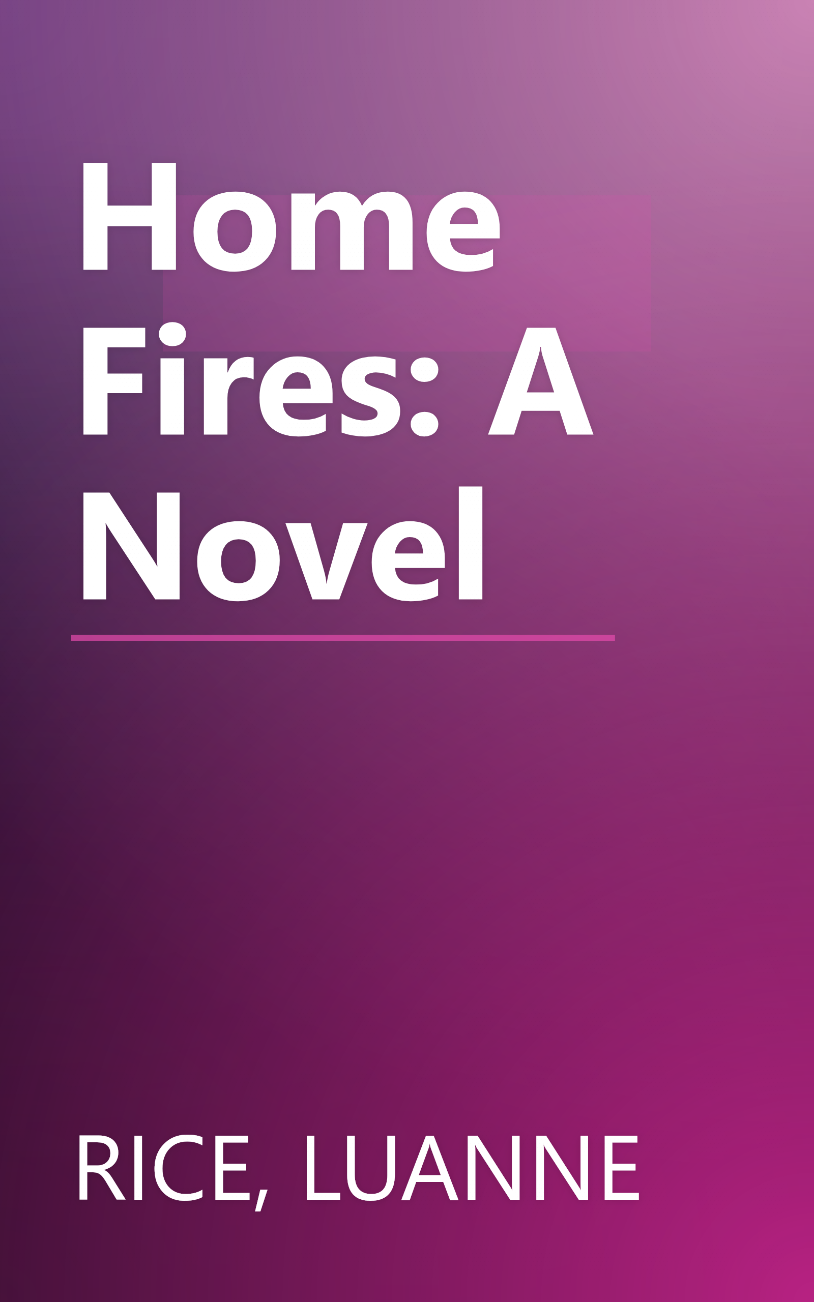 Home Fires: A Novel book cover