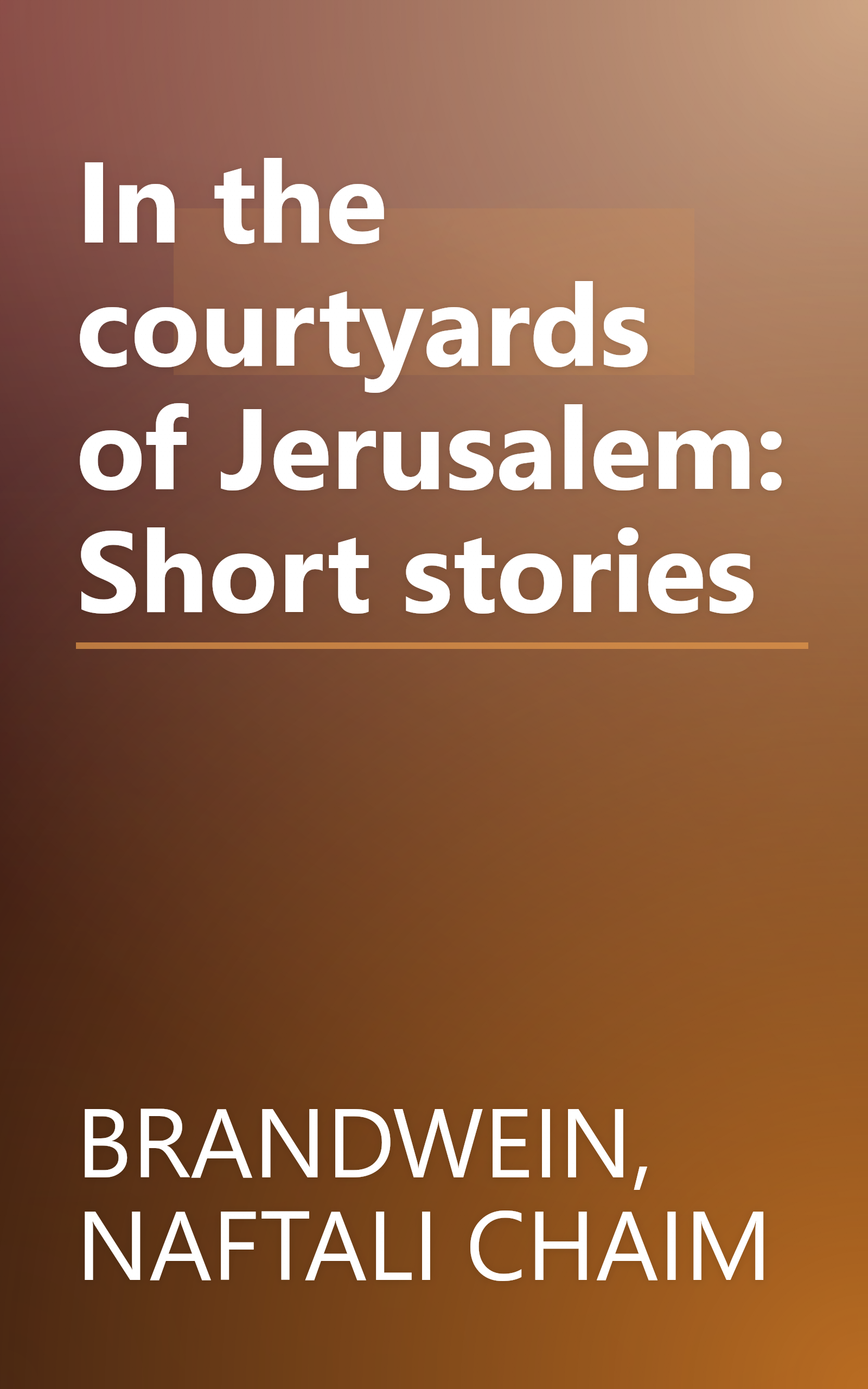 In the courtyards of Jerusalem: Short stories book cover