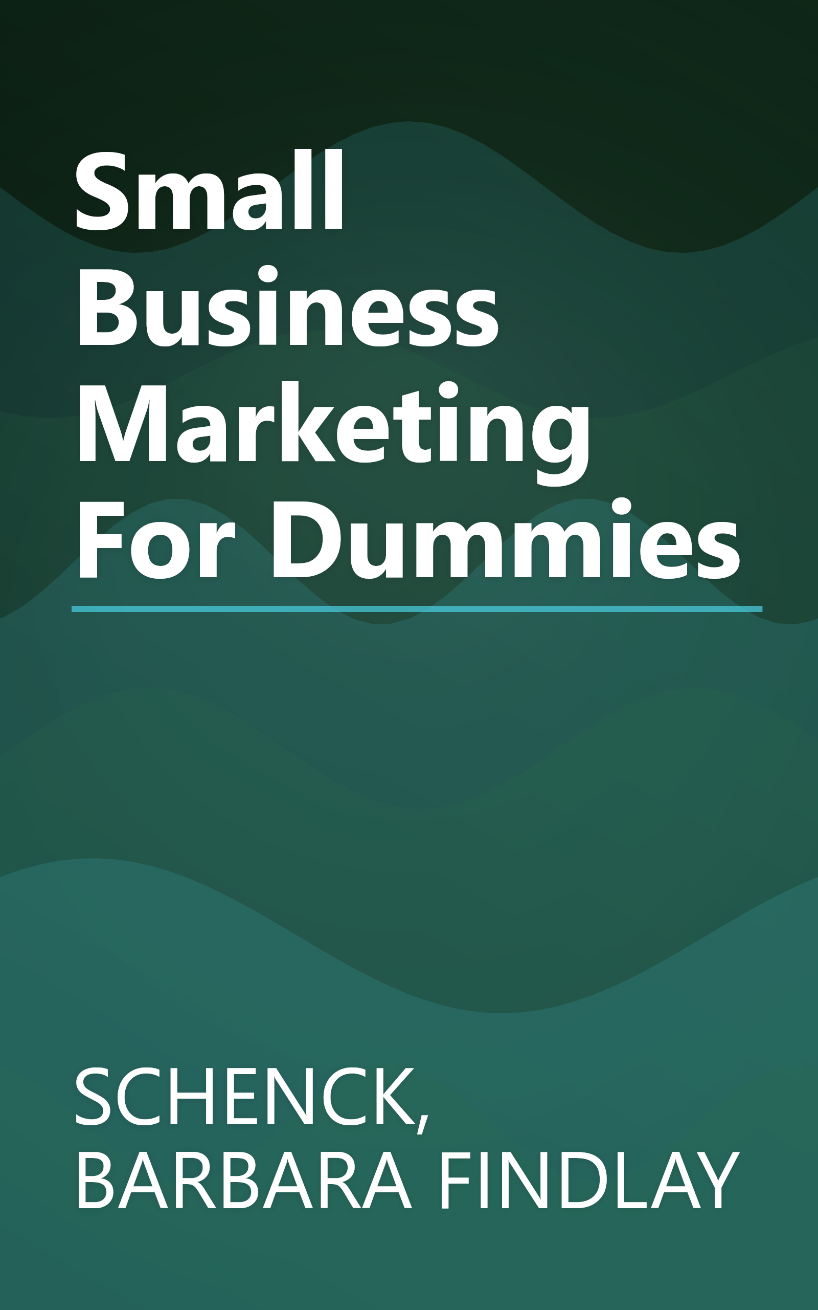 Small Business Marketing For Dummies book cover