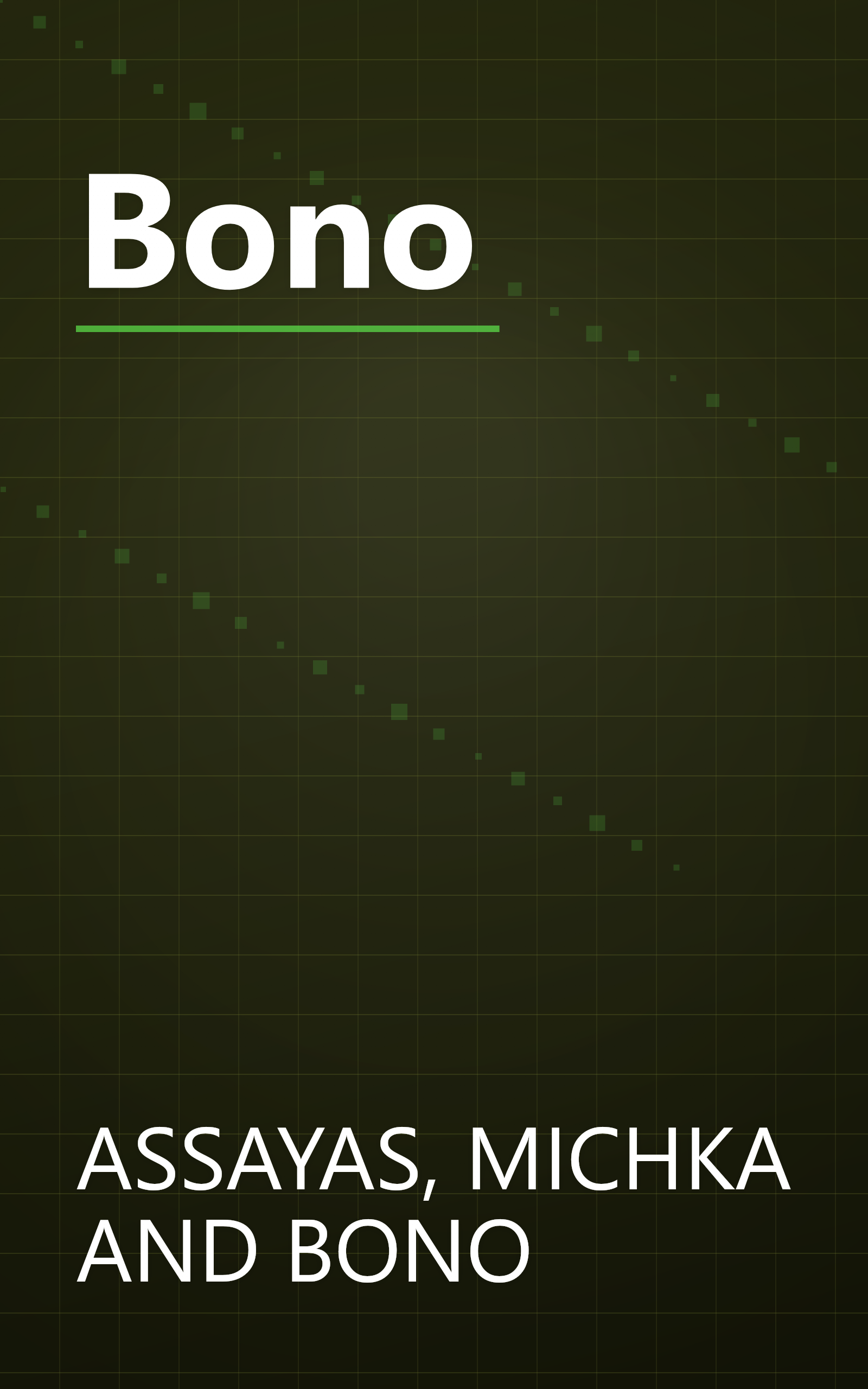 Bono book cover