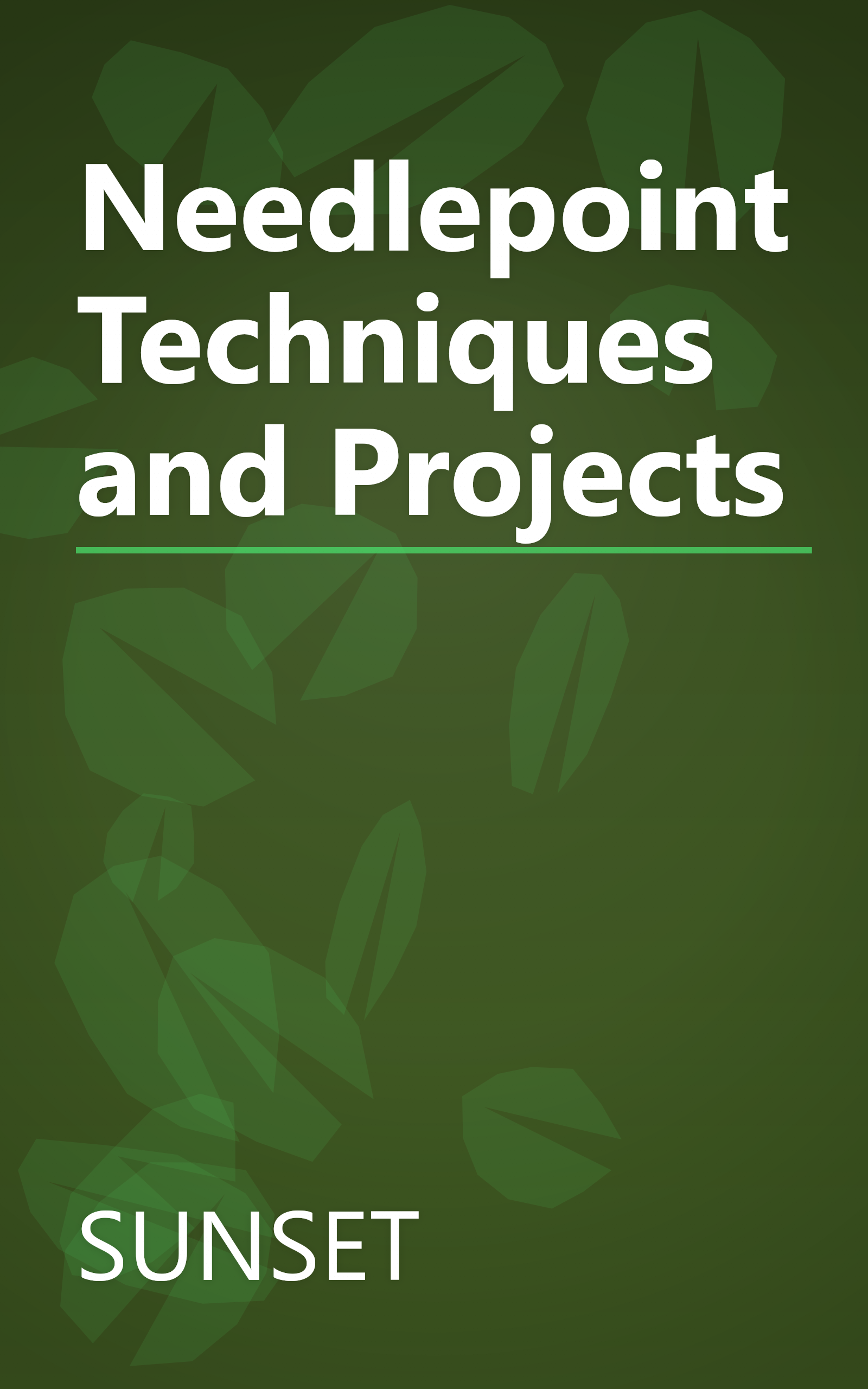 Needlepoint Techniques and Projects book cover