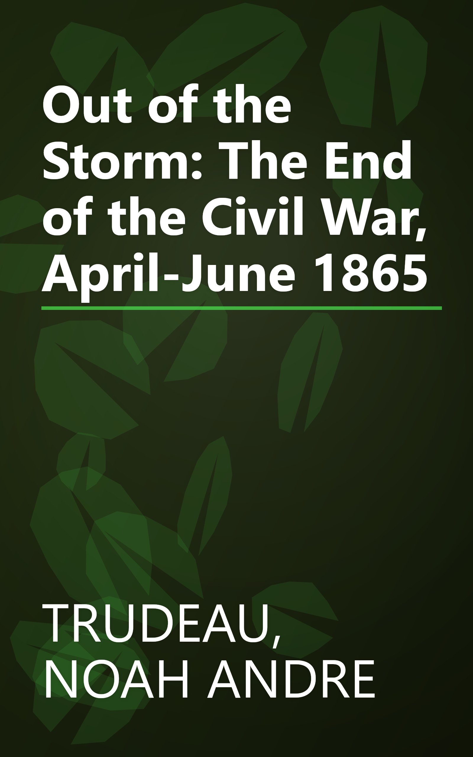 Out of the Storm: The End of the Civil War, April-June 1865 book cover