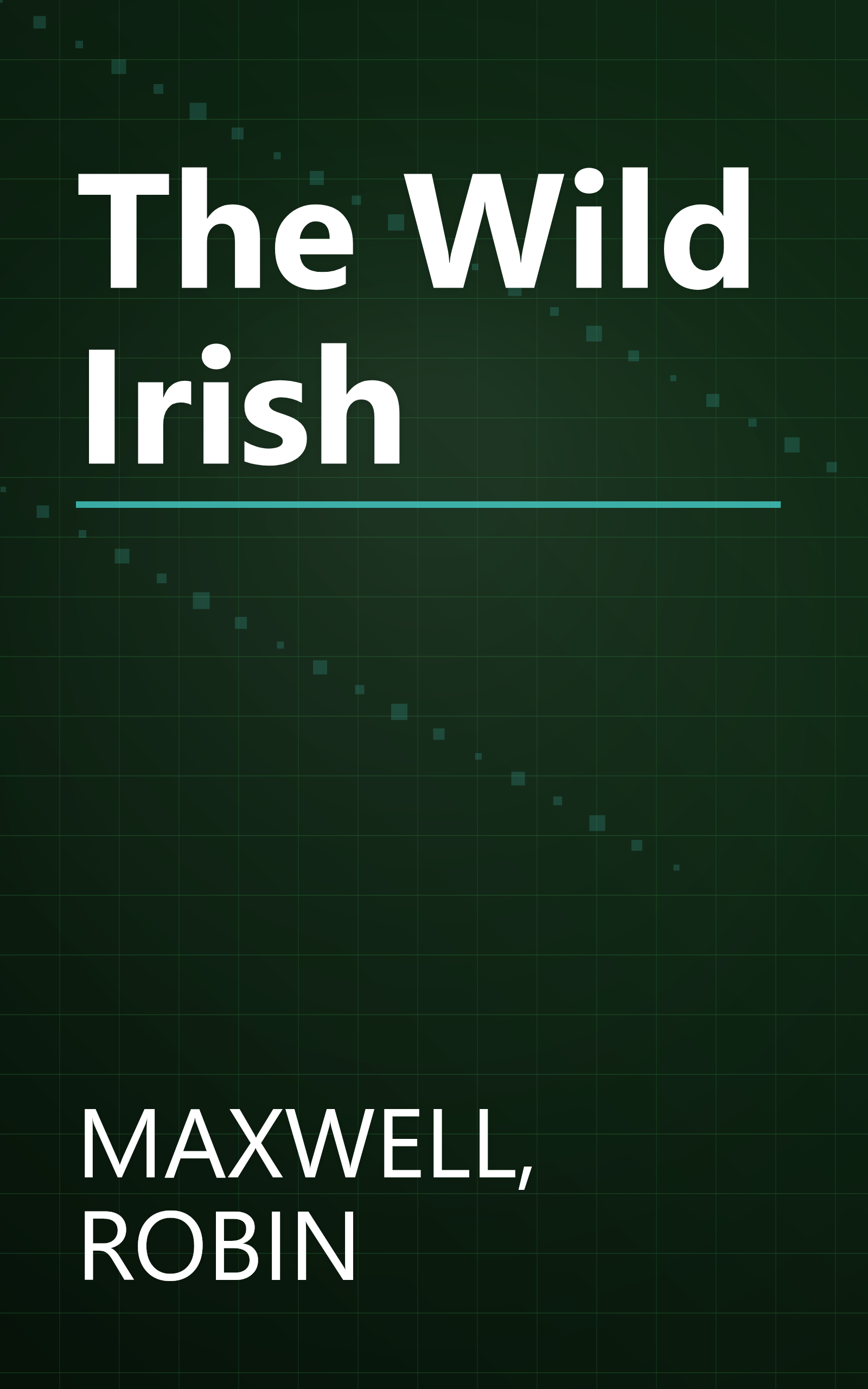 The Wild Irish book cover