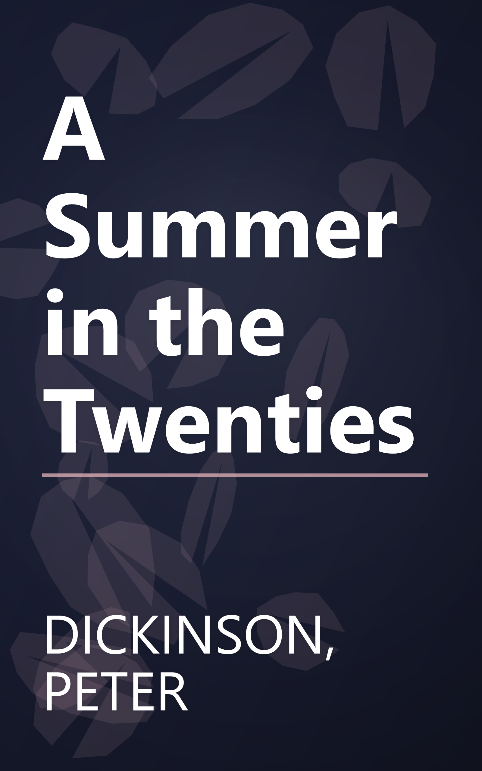 A Summer in the Twenties book cover
