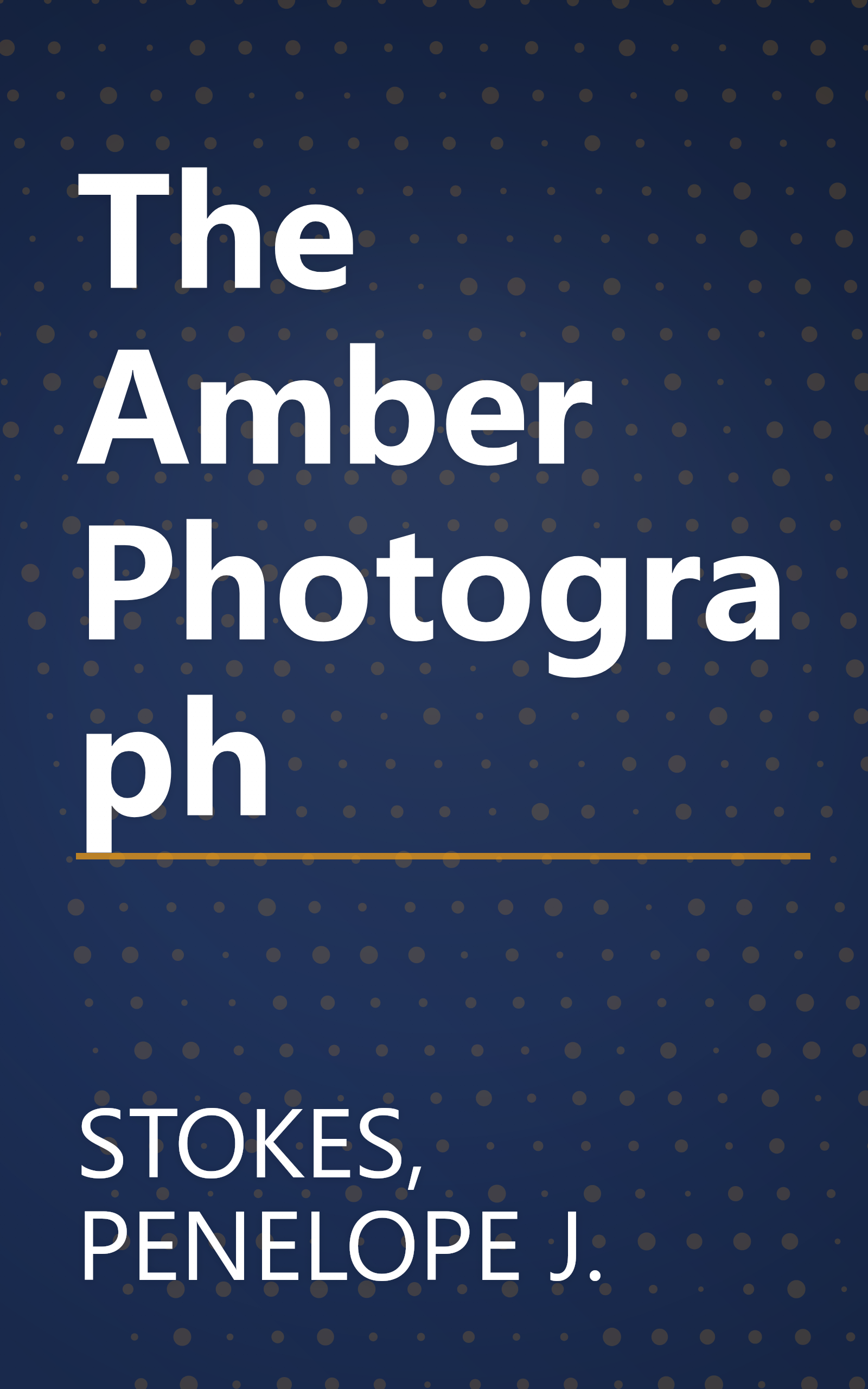 The Amber Photograph book cover